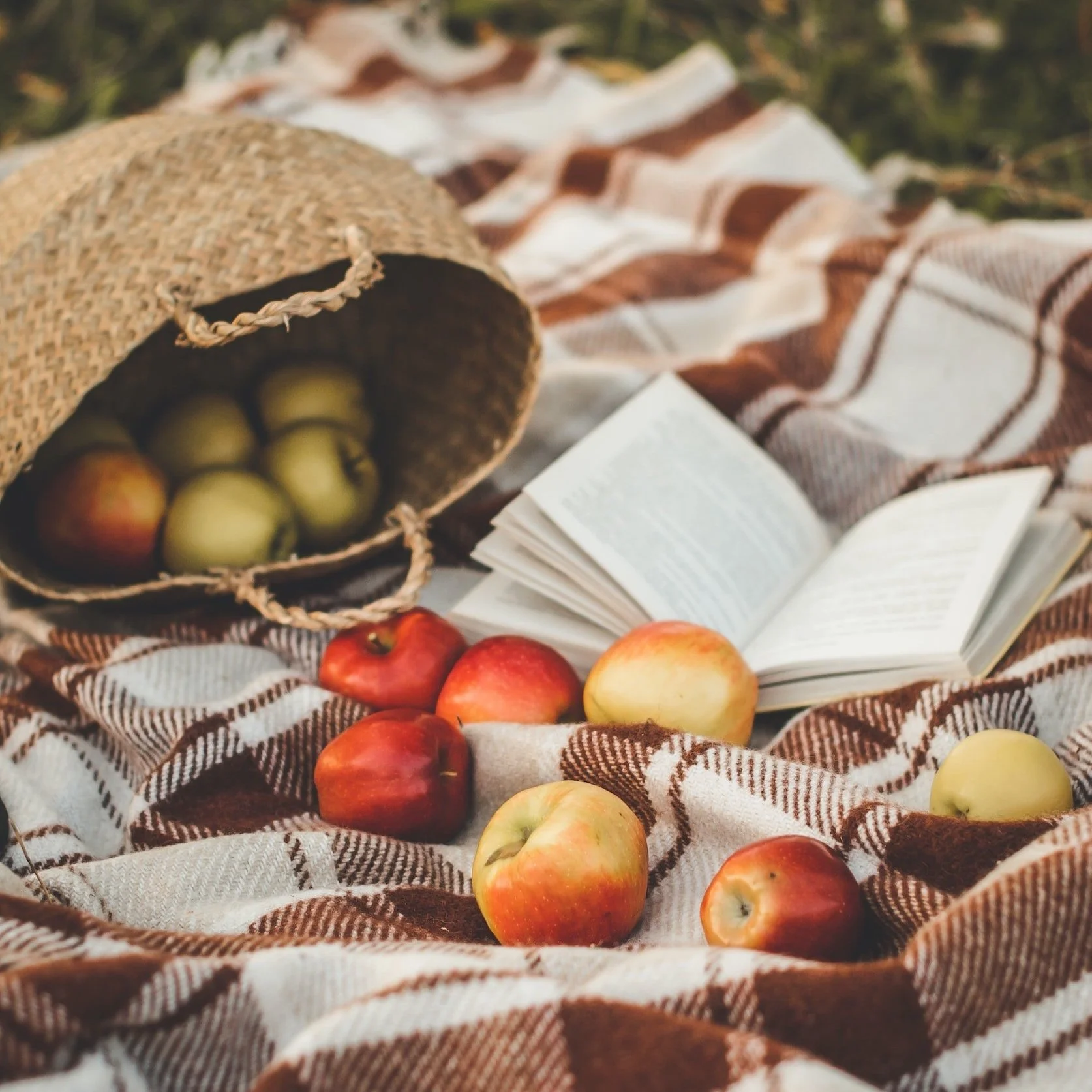 5 Fun Things to do with the Apples you Picked this Fall — Happy Strong ...