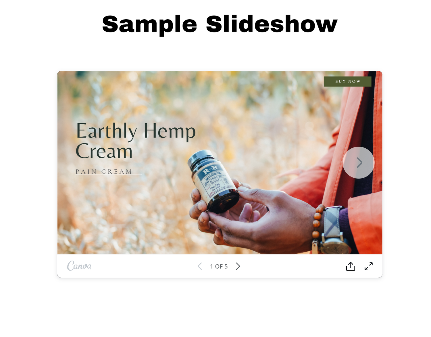 How To Embed Canva Designs To Your Website — Berenice Designs