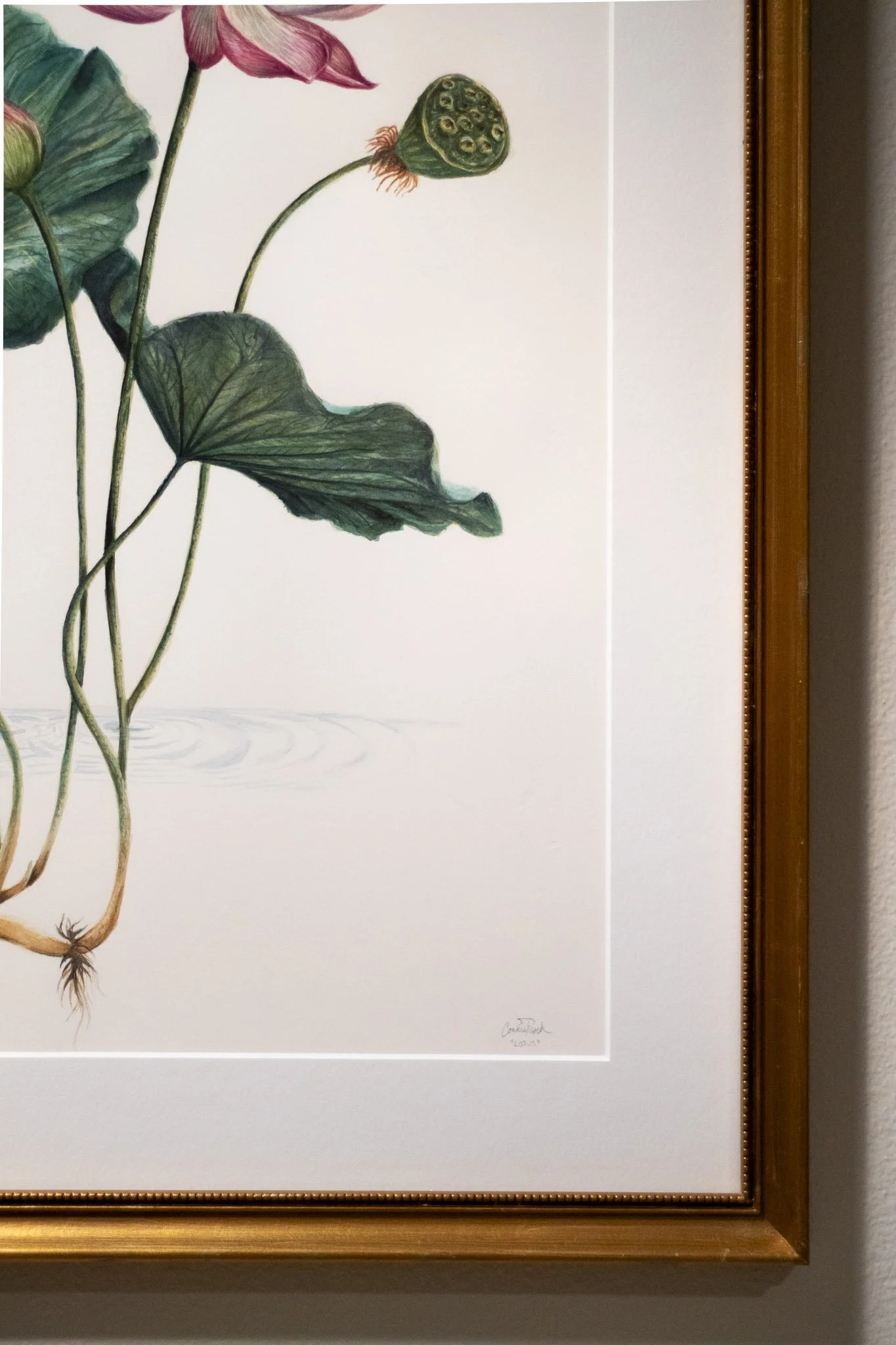 Original Art by Connie Resch — Connie Resch Art + Illustration