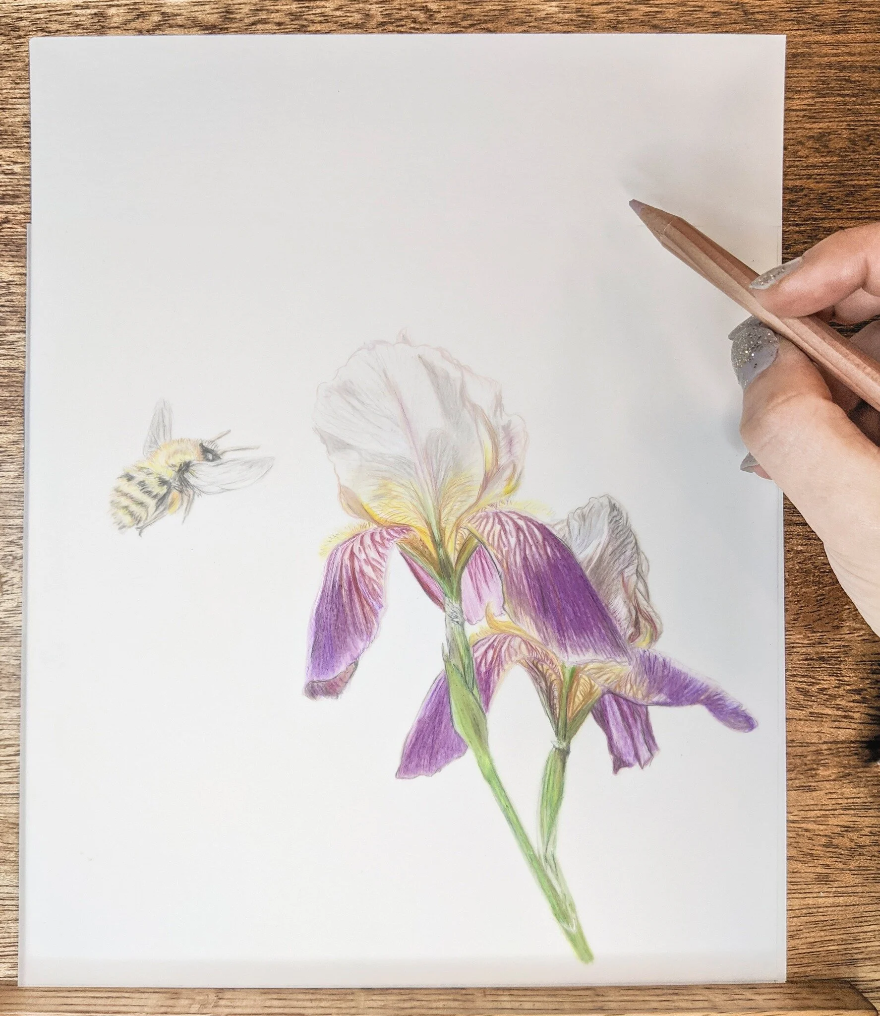 Connie Resch Art + Illustration
