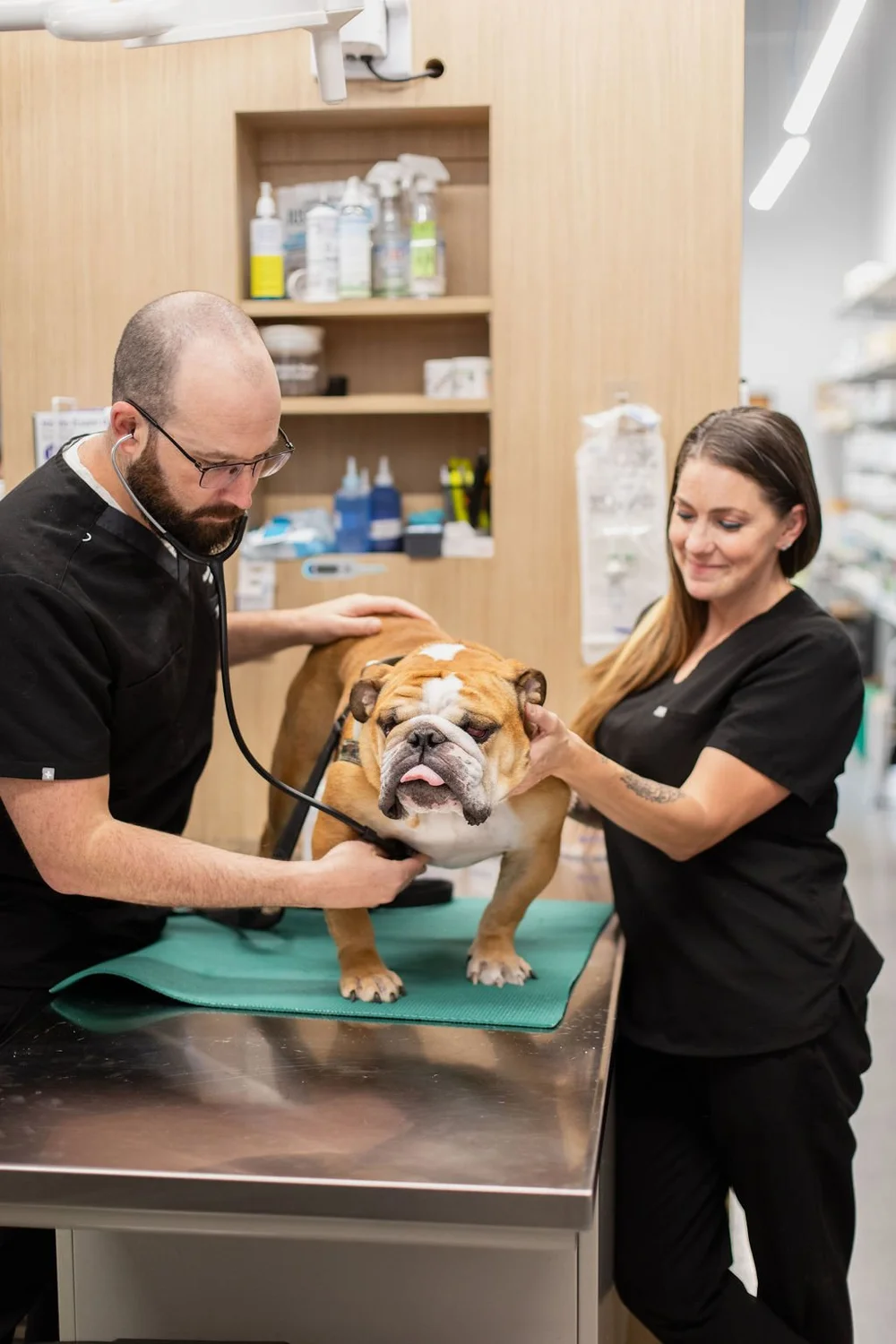 Services — Roots Integrative Veterinary Care