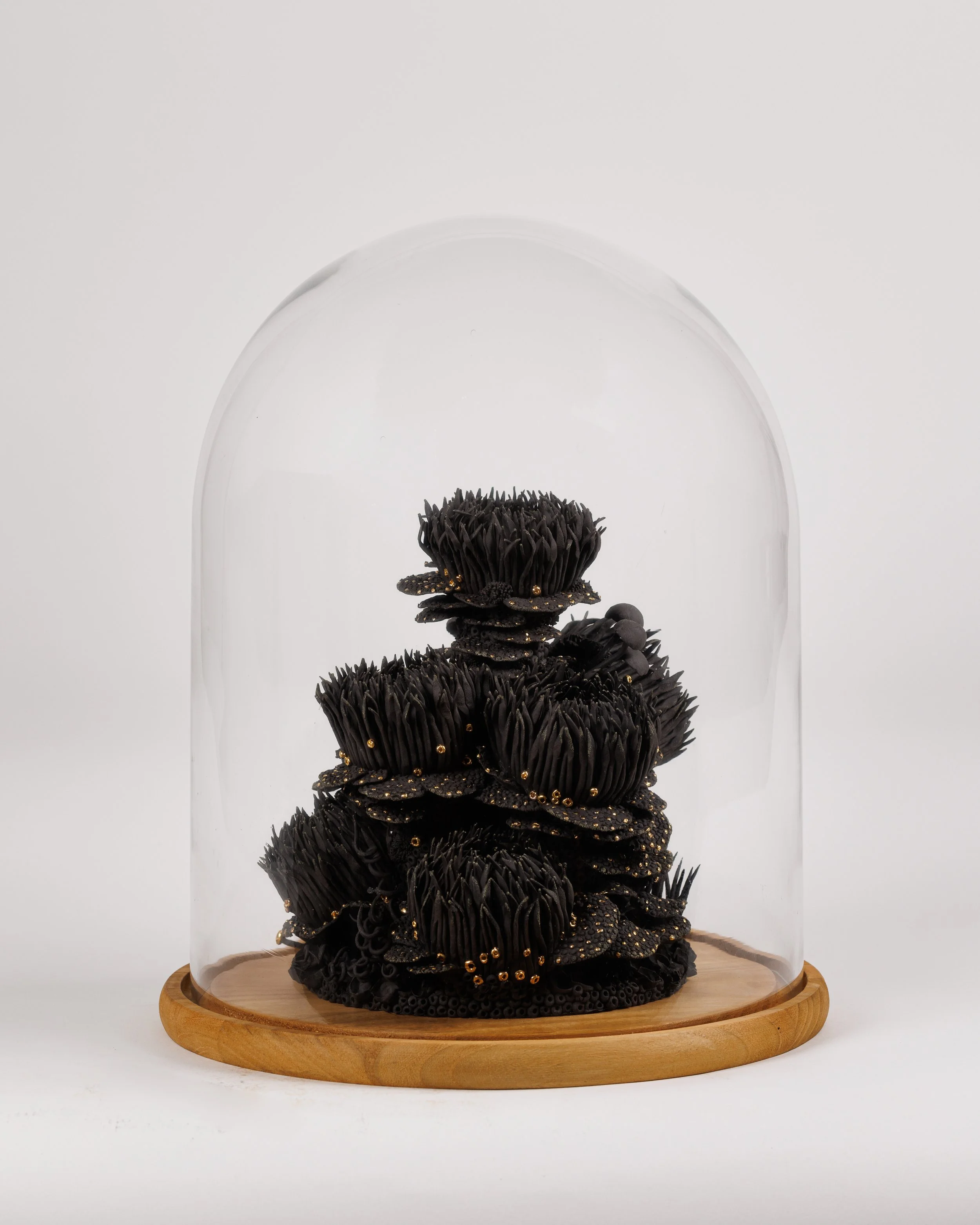 Deb McKay — Hill Smith Art Advisory