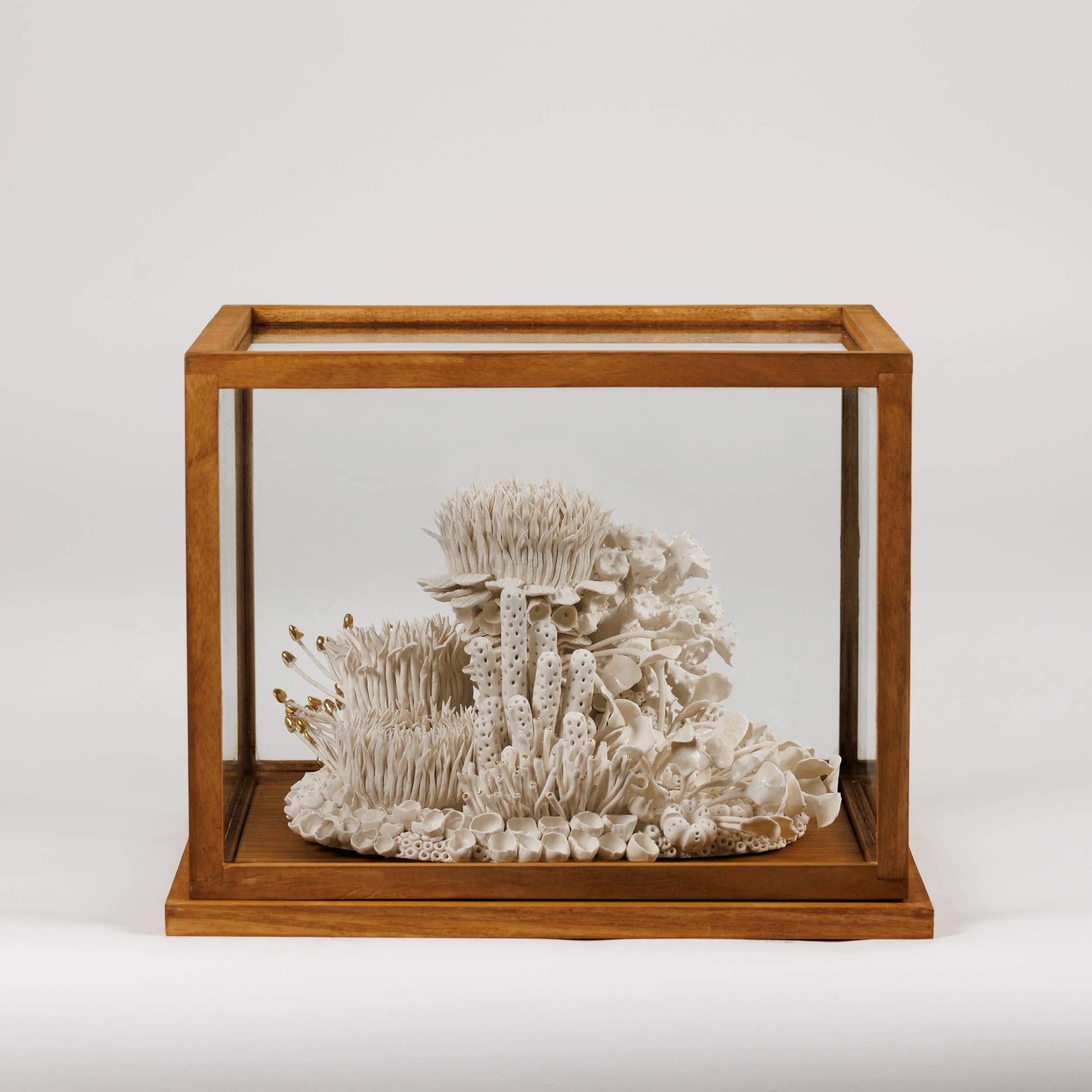 Deb McKay — Hill Smith Art Advisory