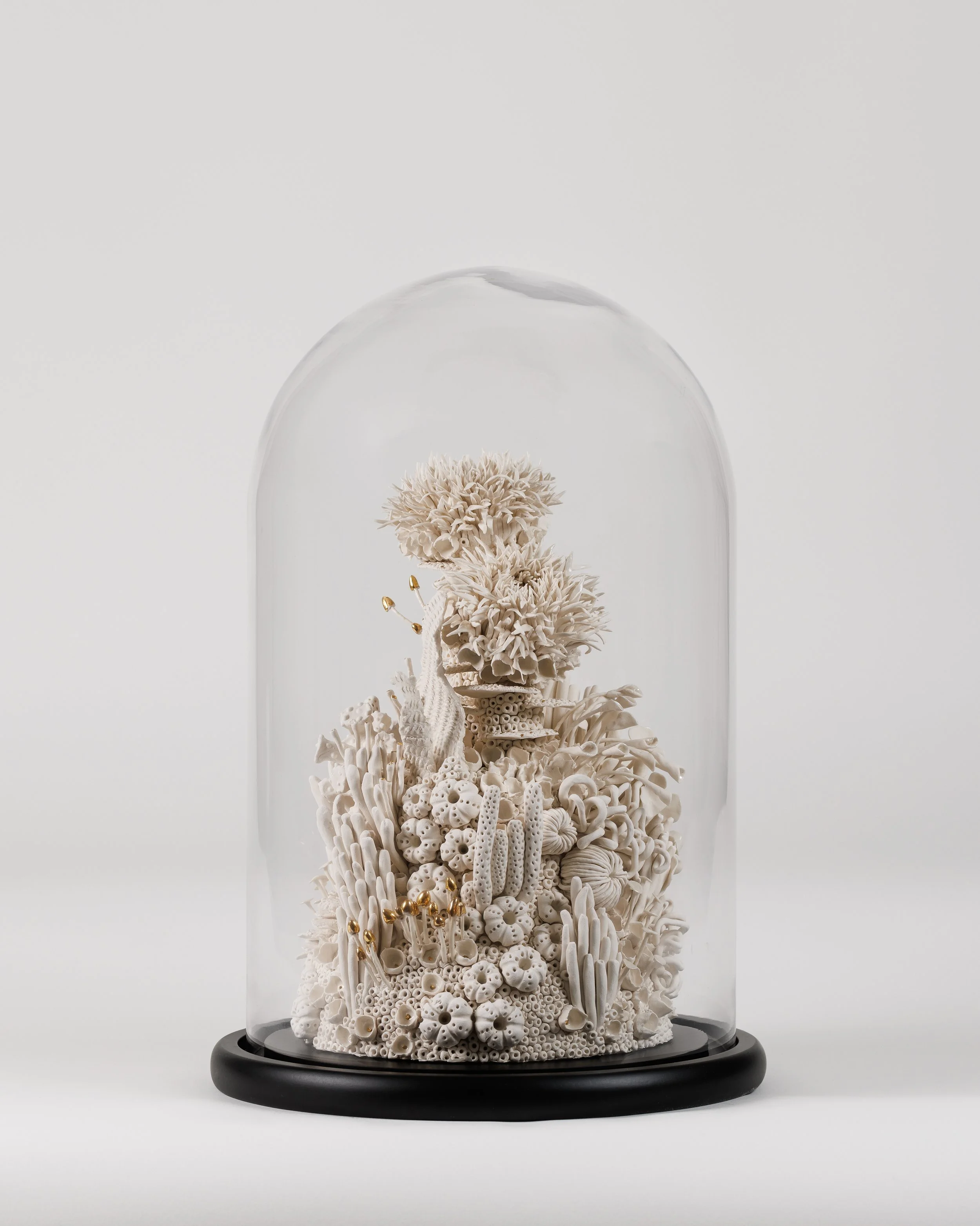 Deb McKay — Hill Smith Art Advisory