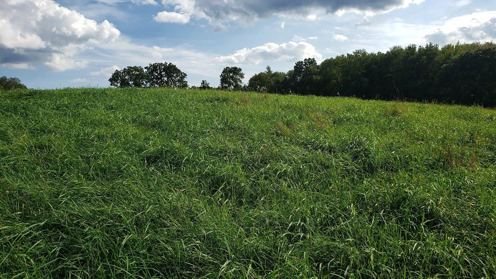 Prices — Dayspring Farm