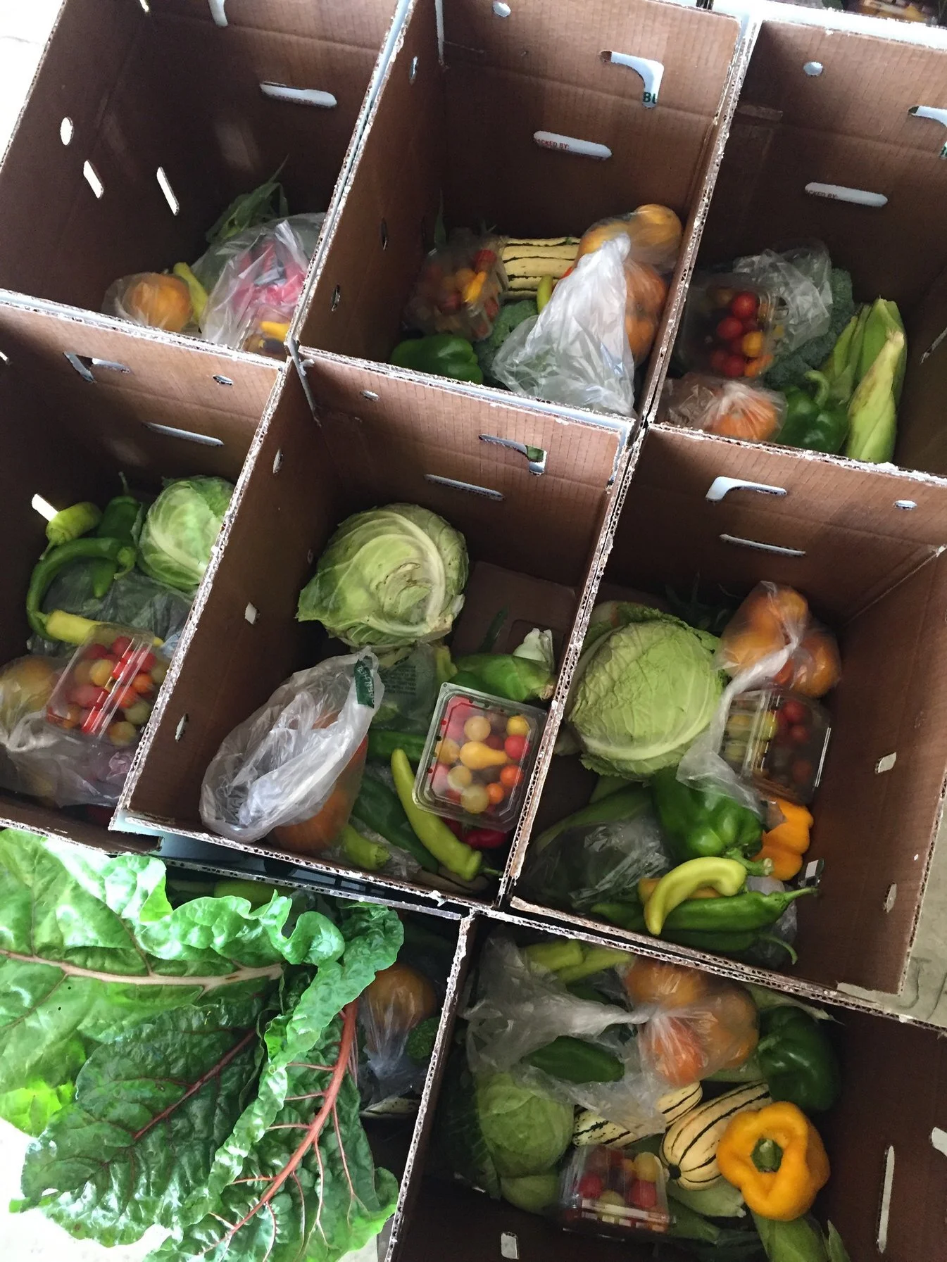 Produce | Taste Freshness Today! — Kroul Farms