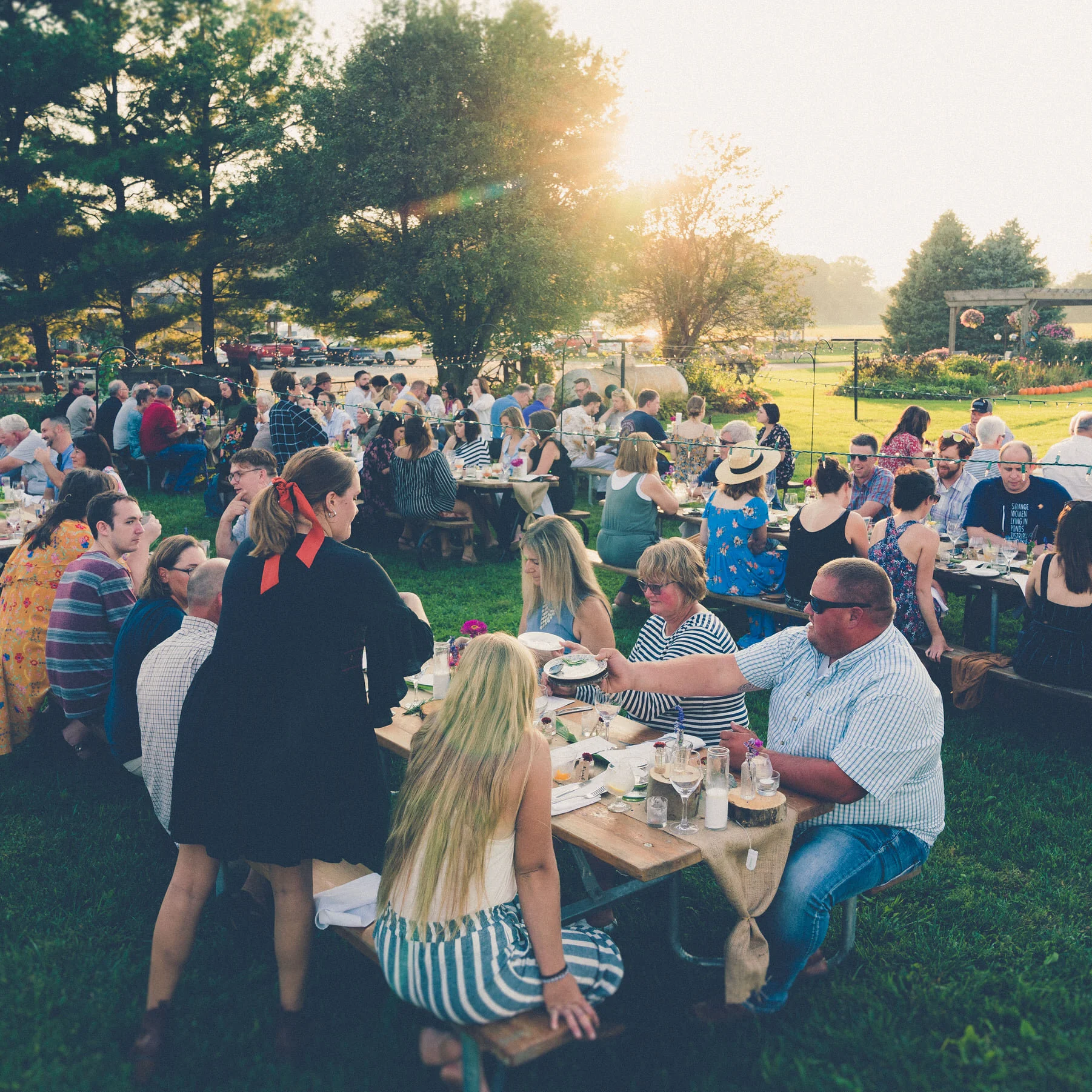 Visit | Plan Your Visit Today — Kroul Farms