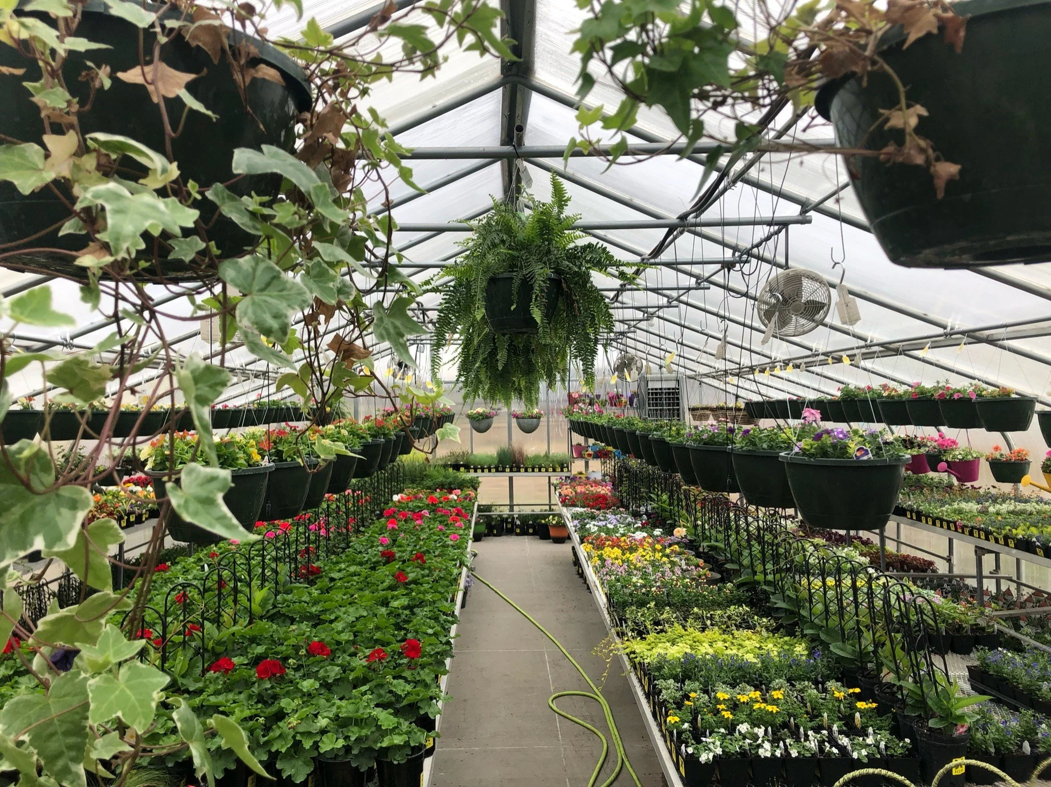 Visit | Plan Your Visit Today — Kroul Farms