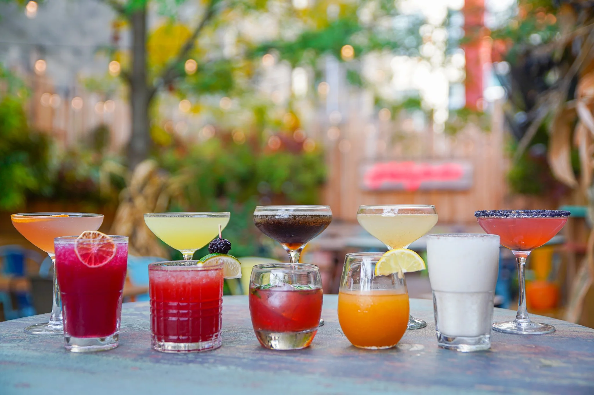 Photo Gallery — Juno