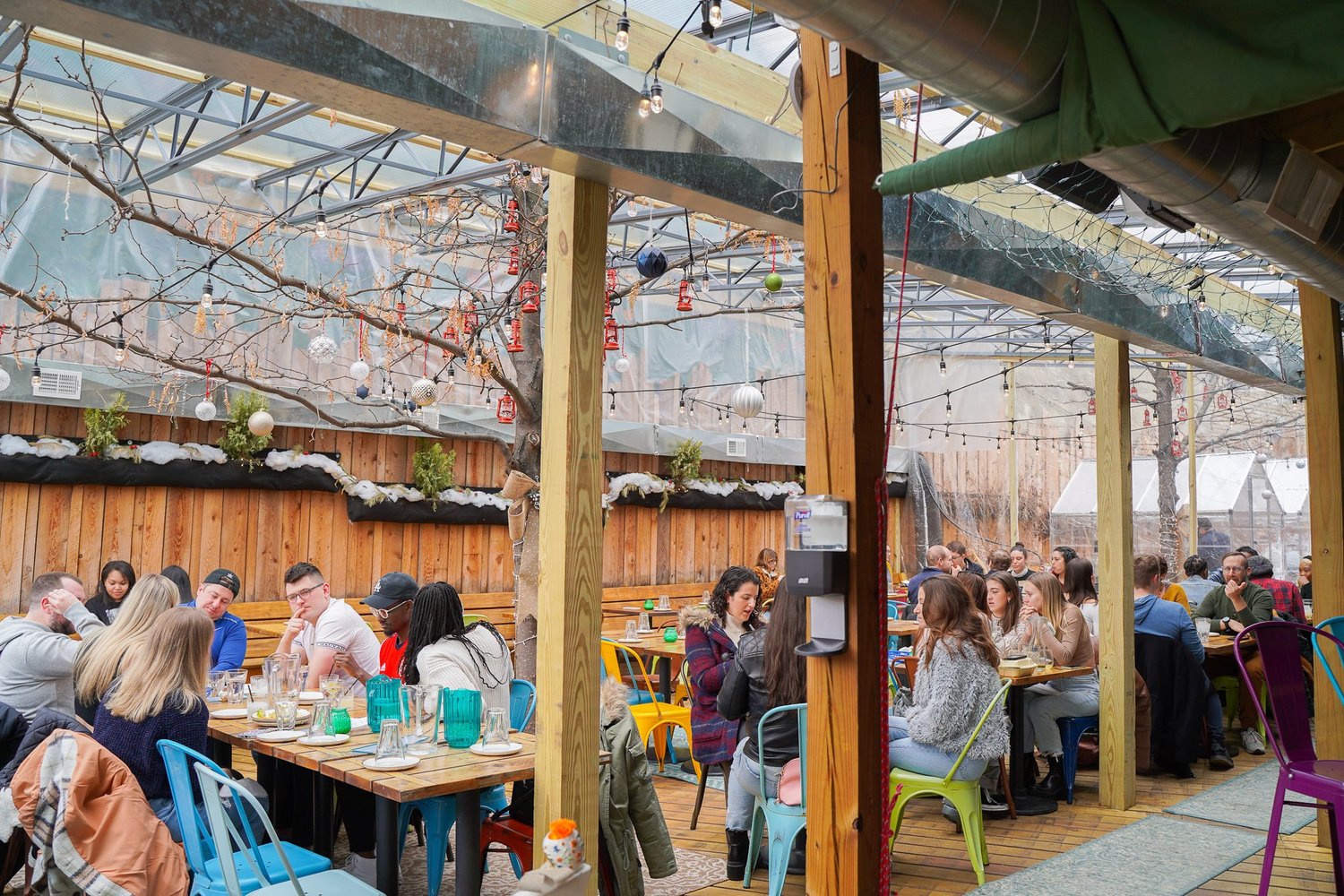 Juno | Mexican-American Food, Chill Vibes & Killer Cocktails