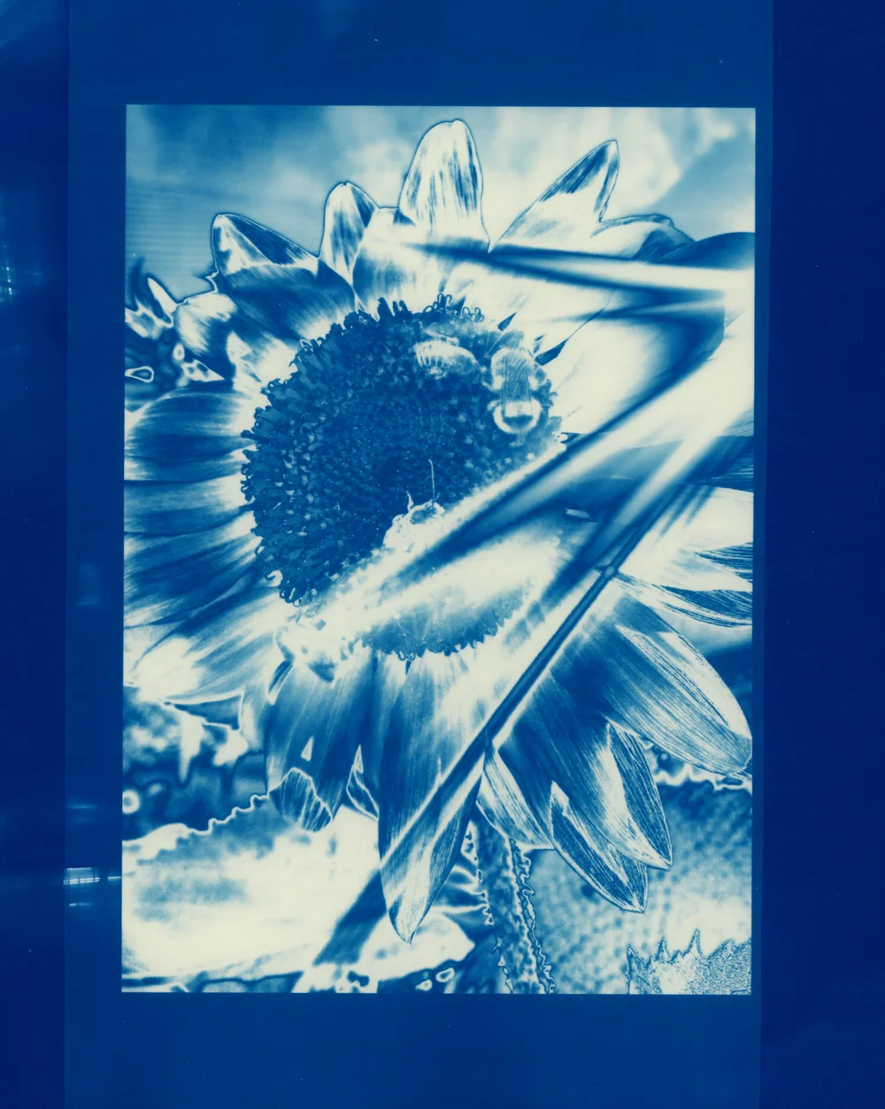 Transmutation — Penticton Arts Council