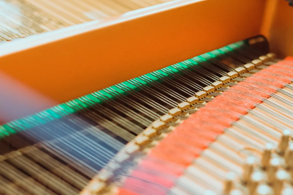 Woodland Grand Piano — ockpii