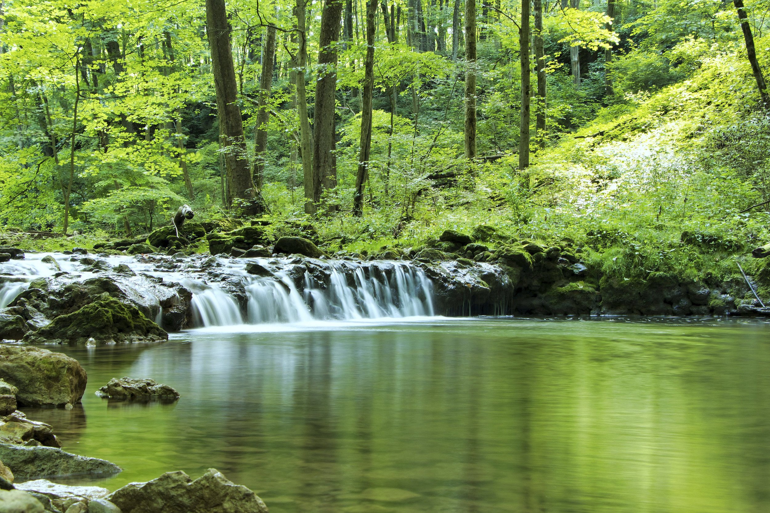 Tecumseh Land Trust 2020