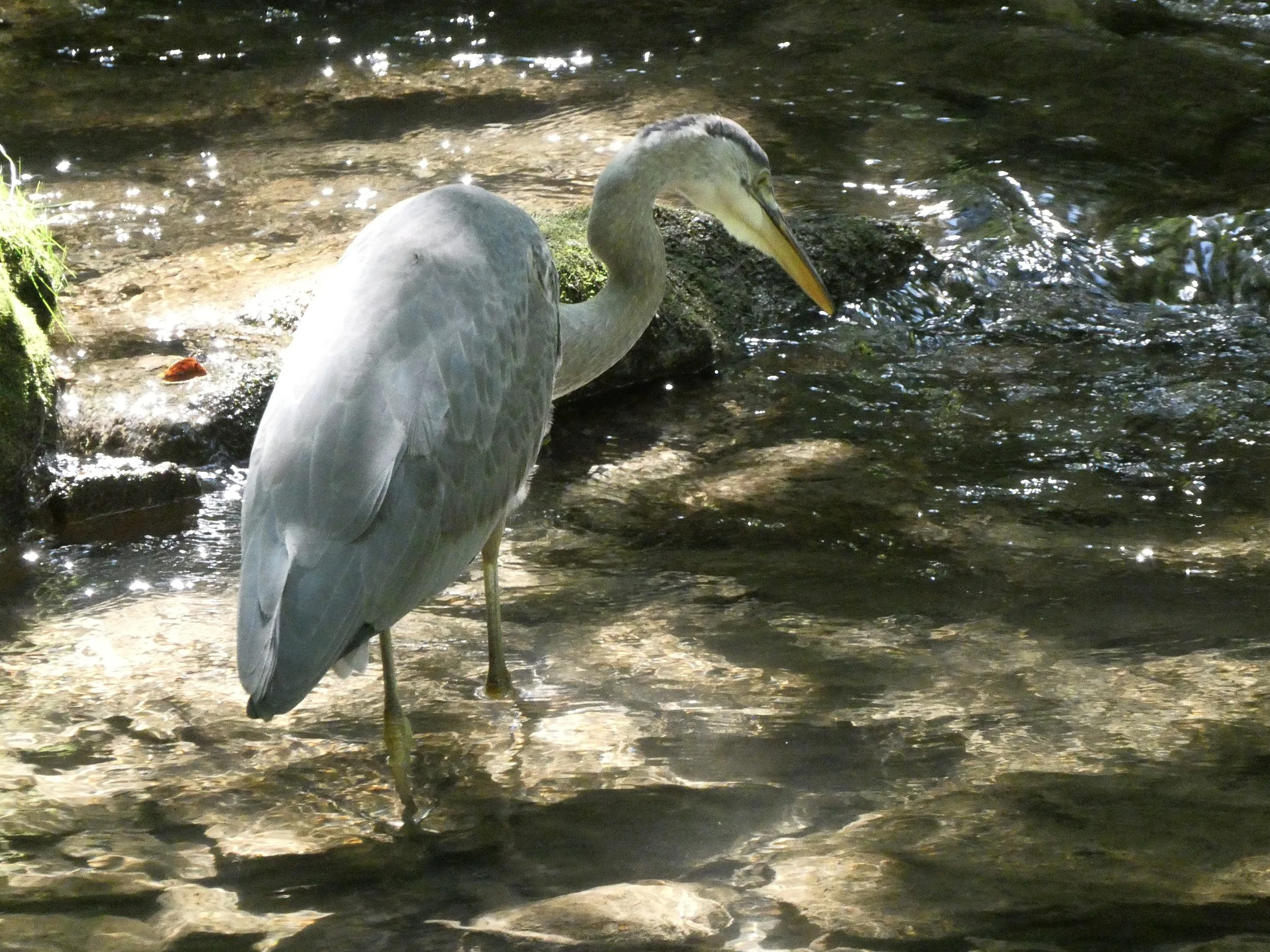 Tecumseh Land Trust 2020