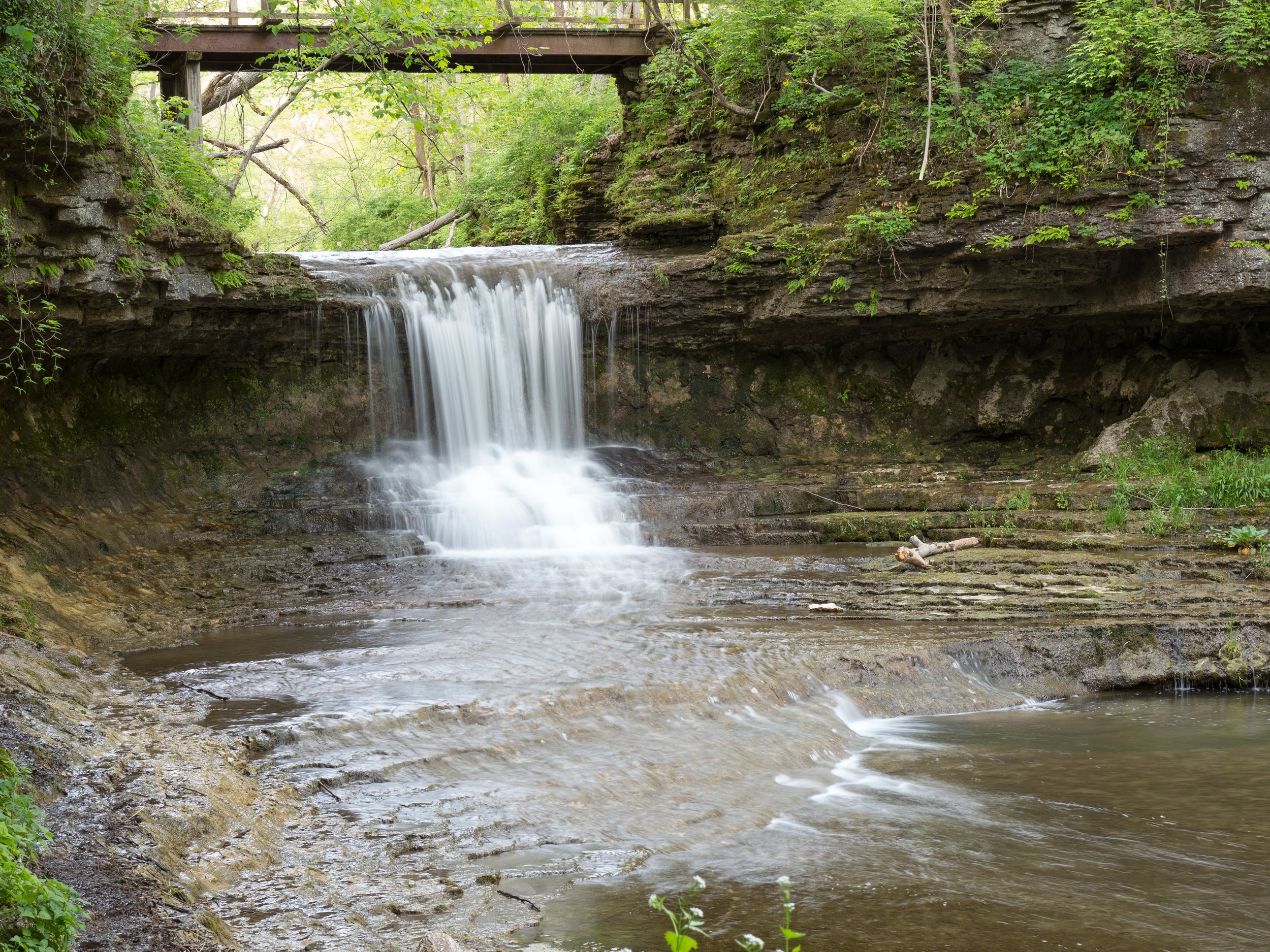 Tecumseh Land Trust 2020