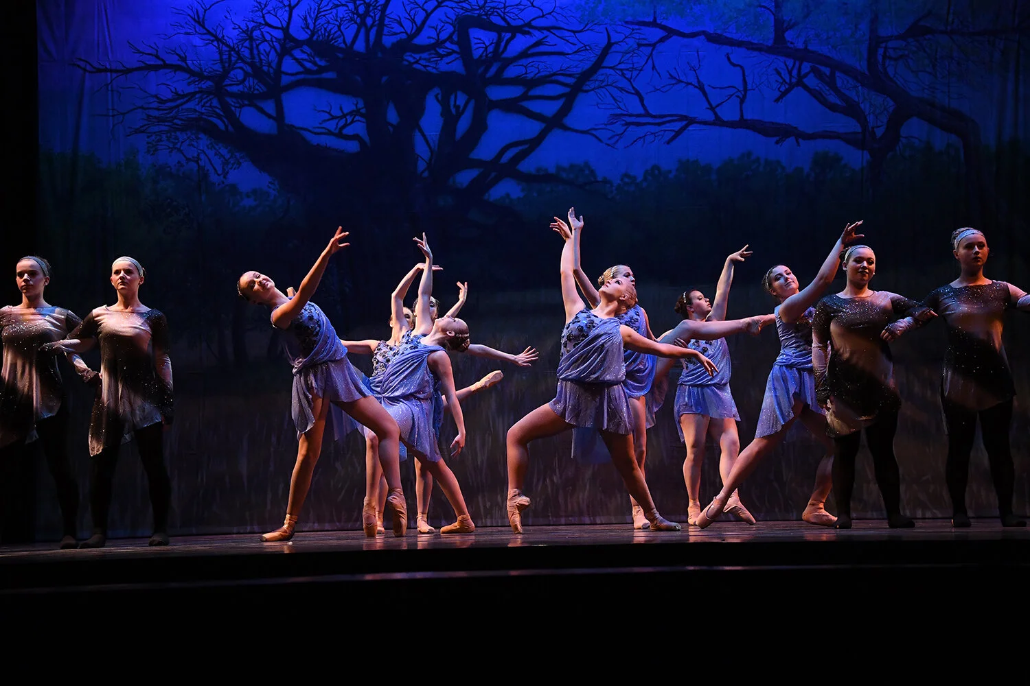highlands ballet