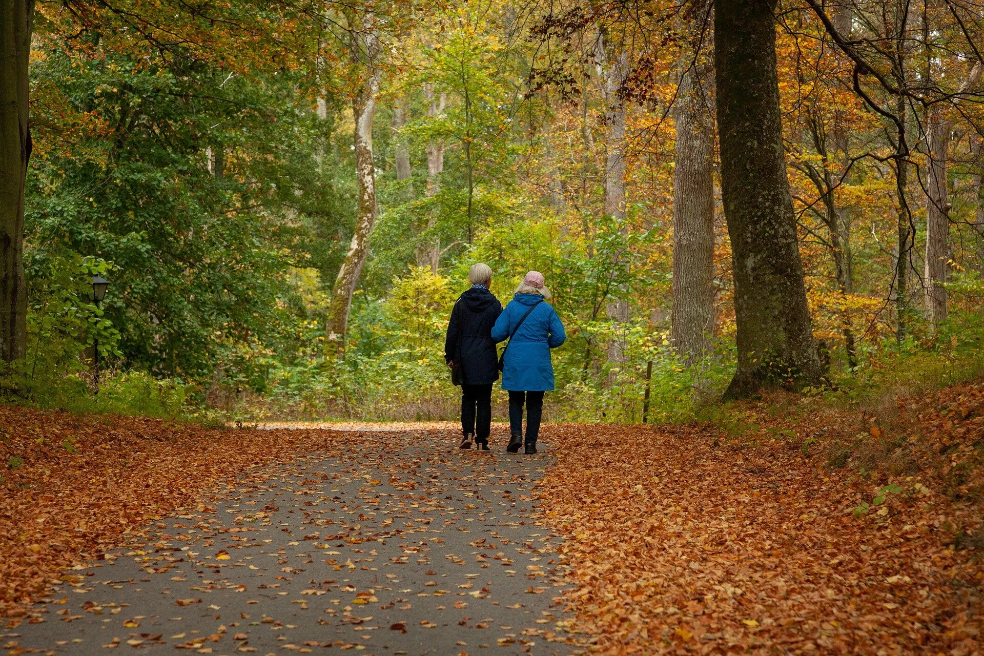 This fall, focus on Falls Prevention — Evolve