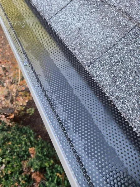 SERVICES — 10-Eleven Nuisance Wildlife Control, LLC