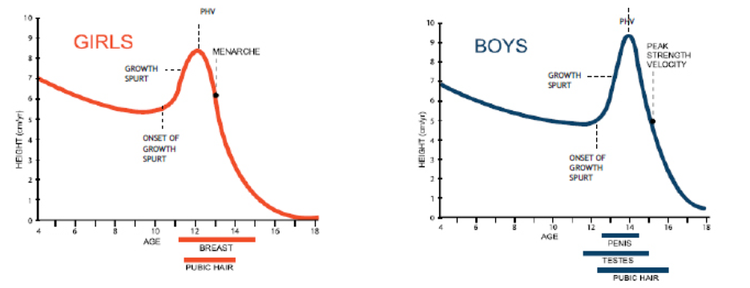 Peak Height Velocity: What it is, how to measure, & why its important ...