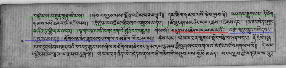 Report of the year 2022 and future plans — Nyingtik Project