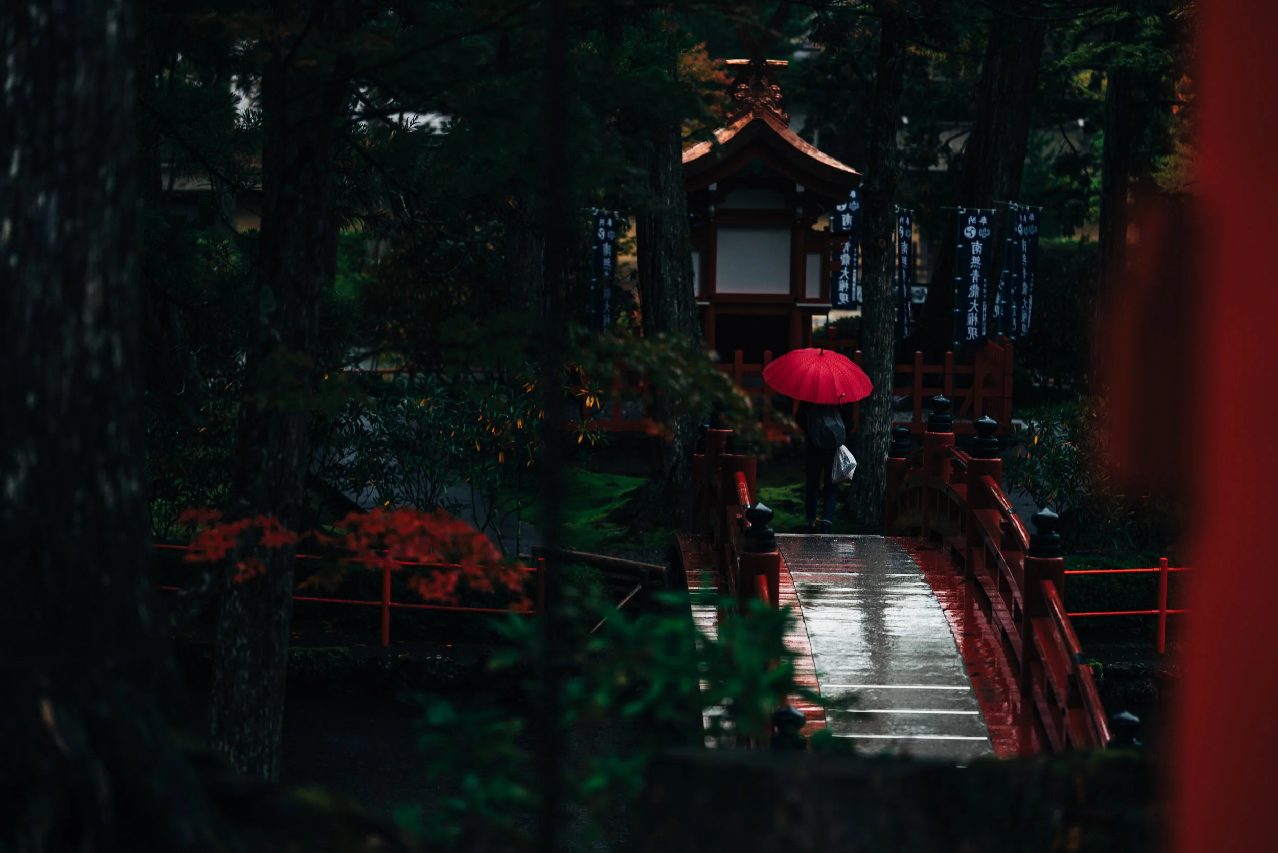 Gallery — Aeterna Lab