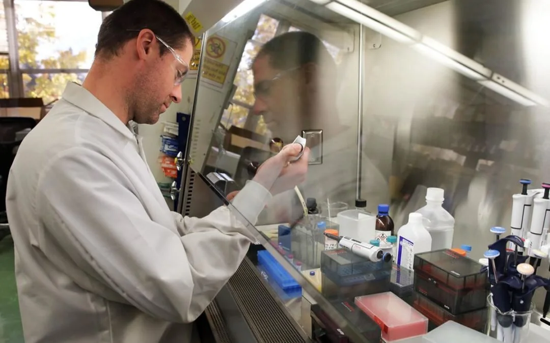 For Missoula’s Inimmune, a $22 M Series A Round with Two Bear Capital ...