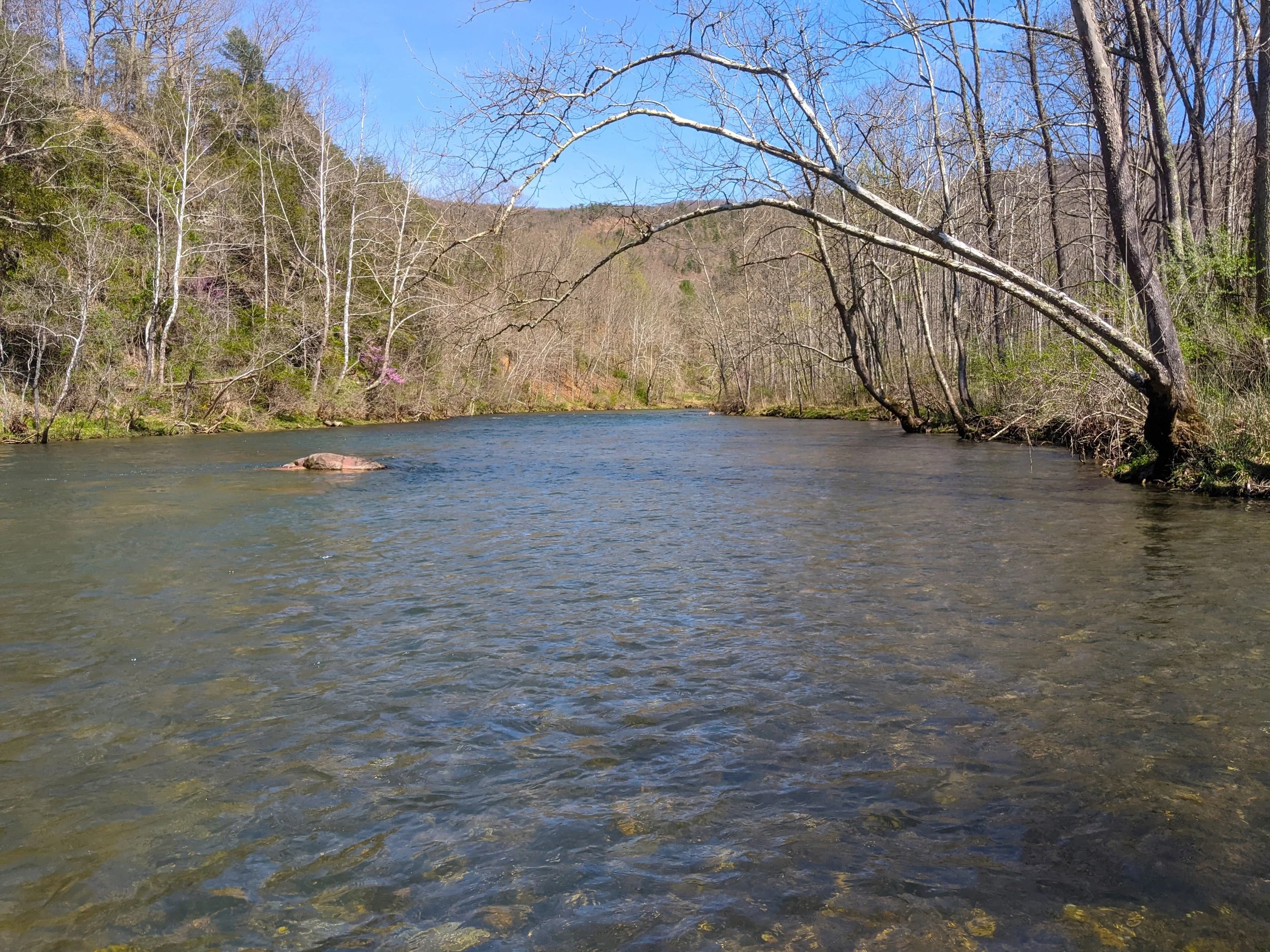 Jackson River Waterfront Lot — VIRGINIA REAL ESTATE
