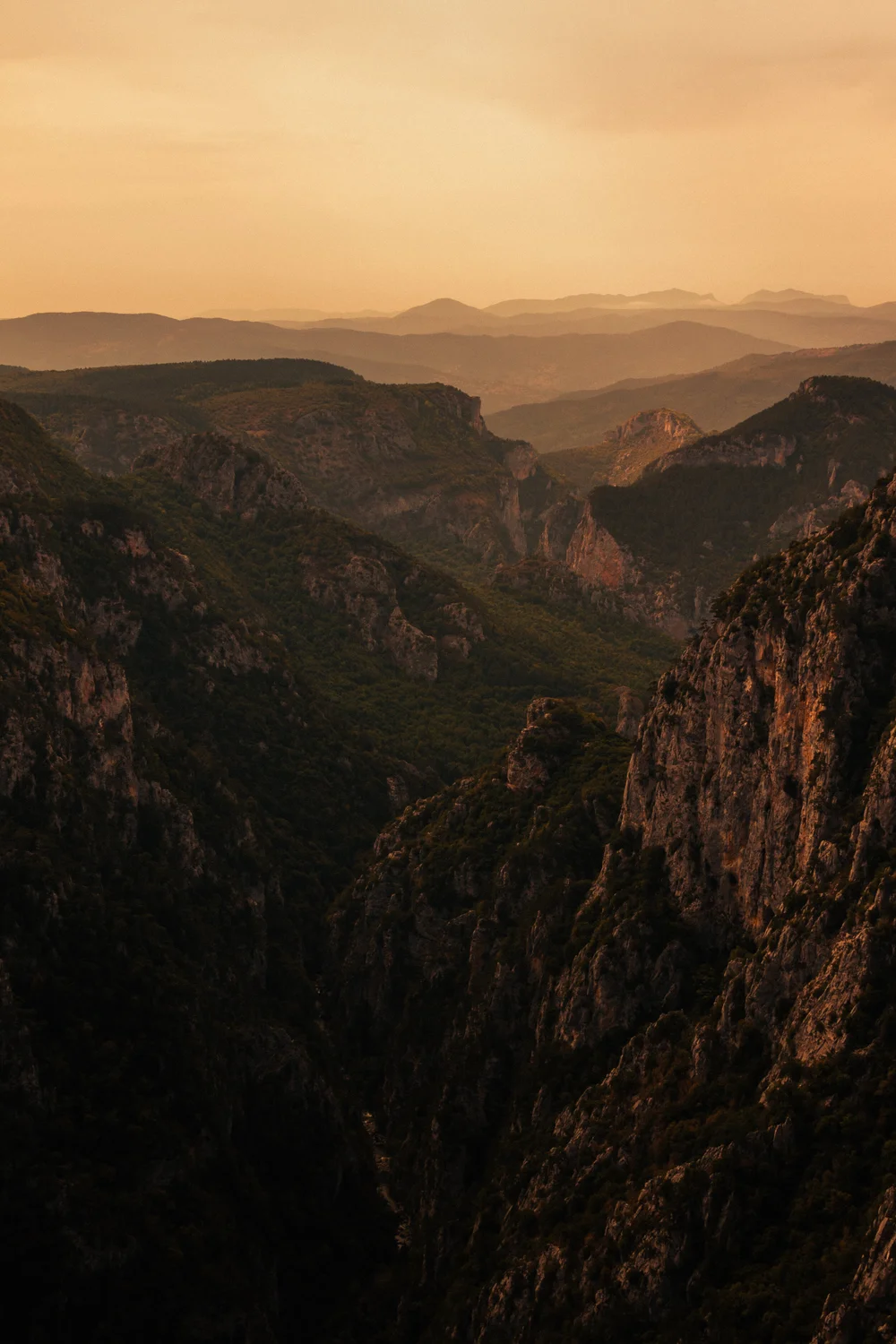 blooming (Copy) — zoë luyendijk studio