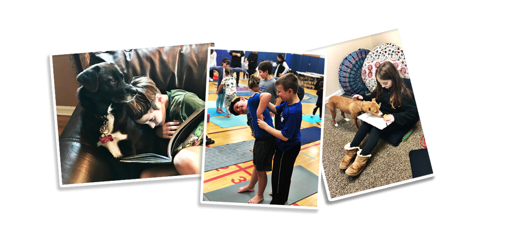 Mindful Reading Center