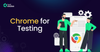Introducing the new Google ‘Chrome for Testing’ | TestEvolve ...
