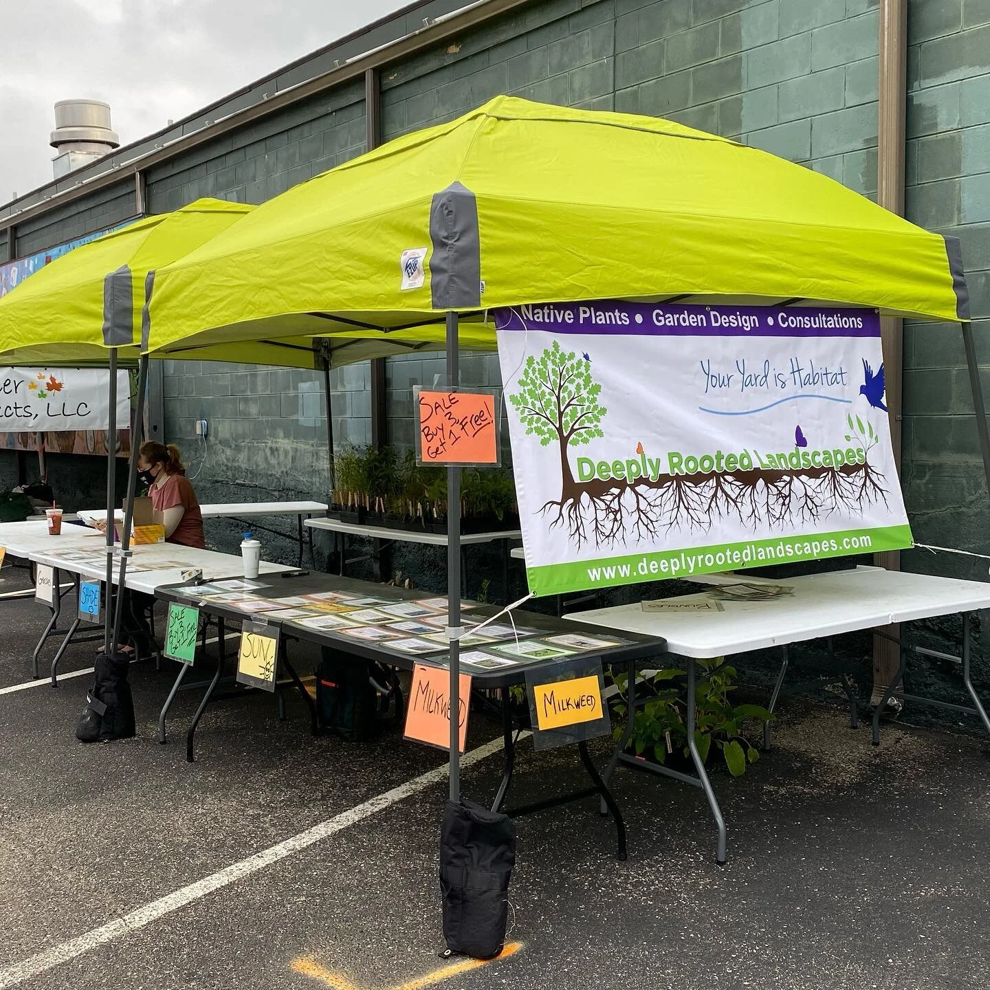 Deeply Rooted Landscapes