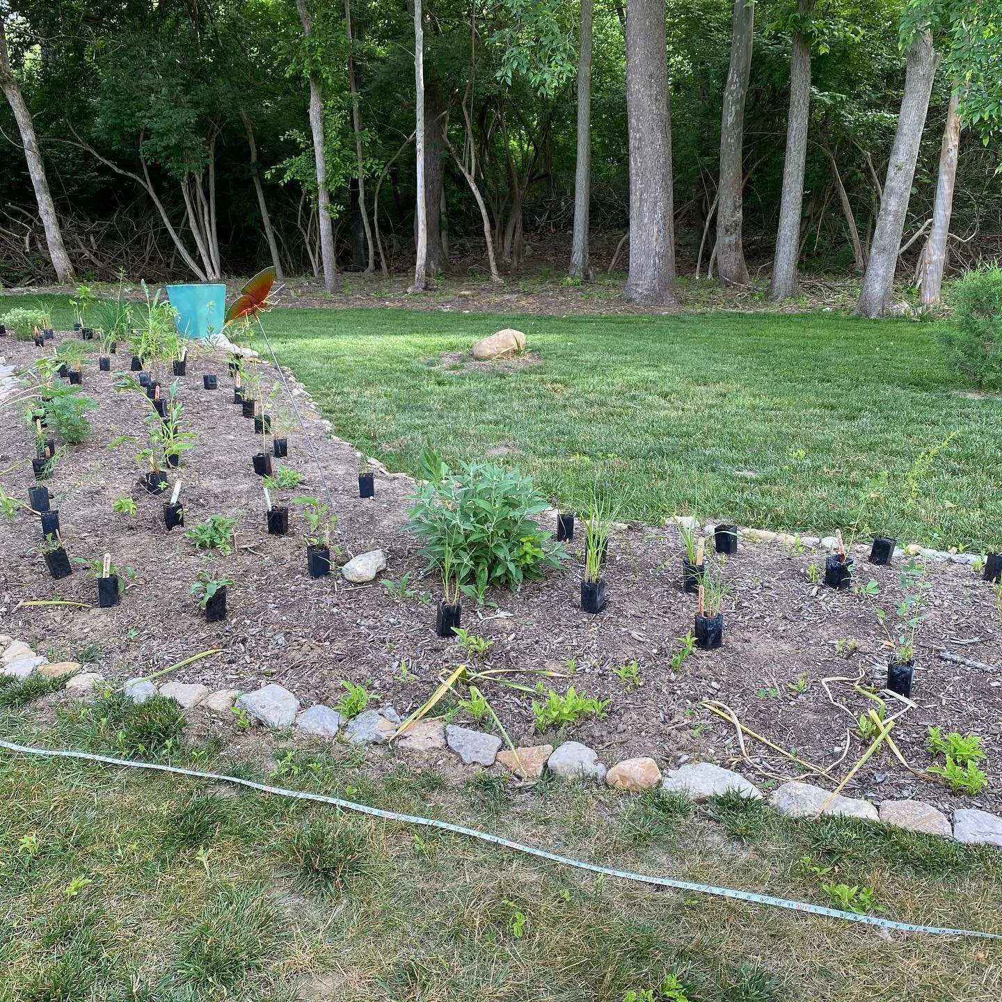 Deeply Rooted Landscapes