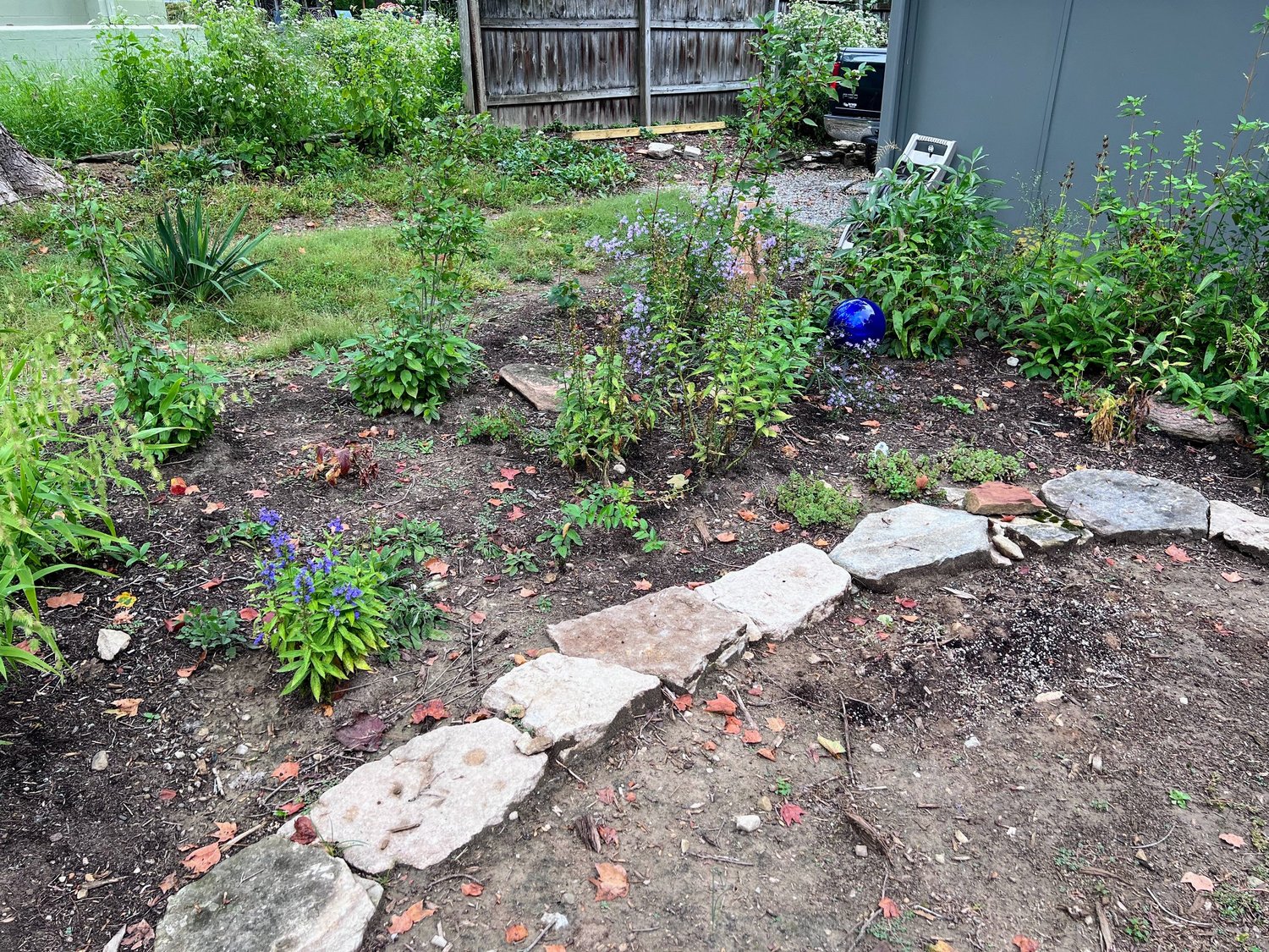 Portfolio — Deeply Rooted Landscapes