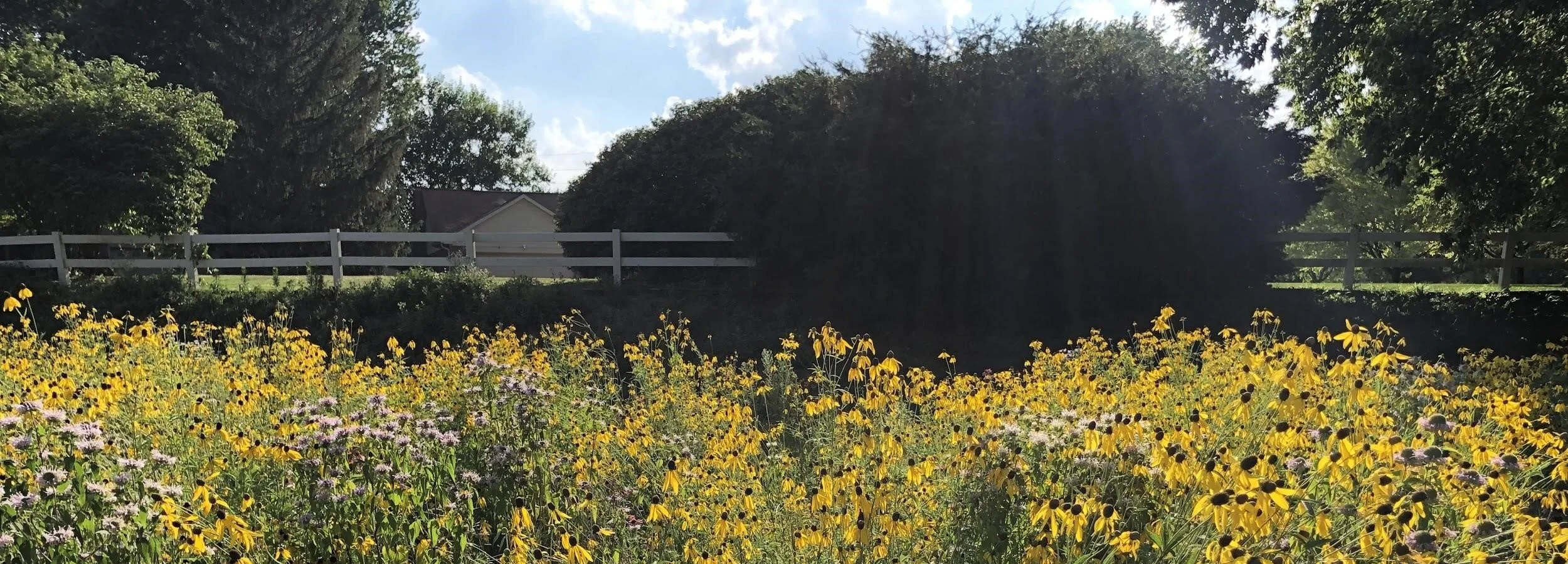 Deeply Rooted Landscapes