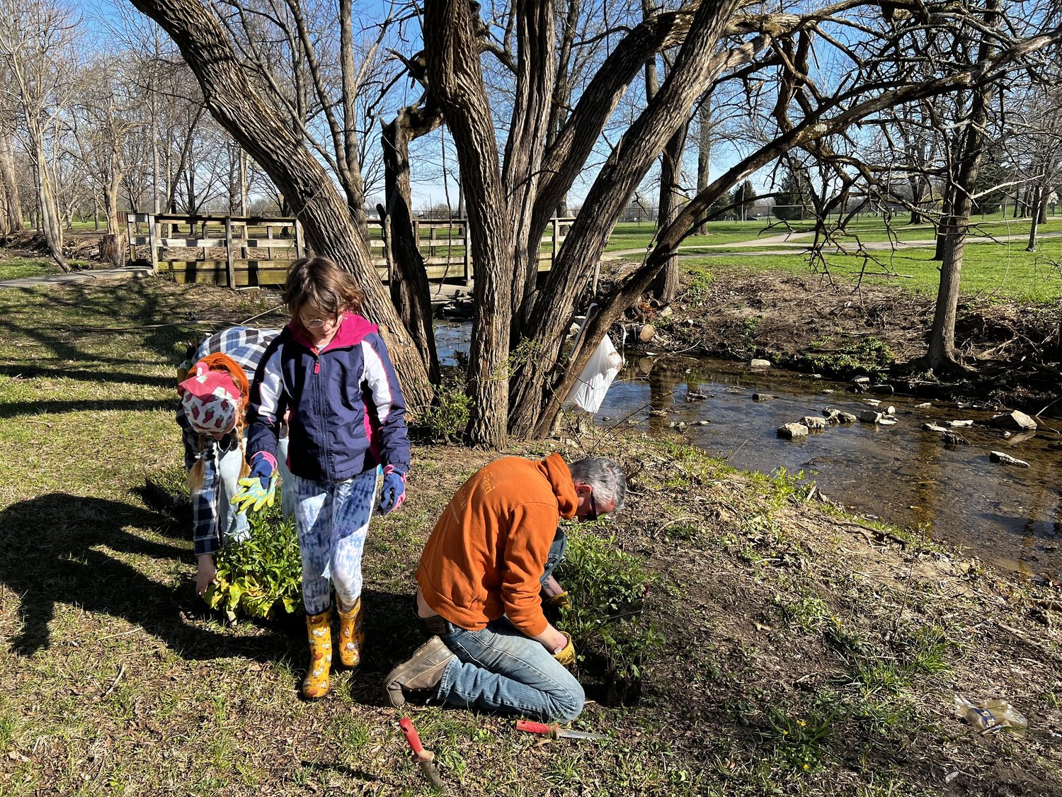 Deeply Rooted Landscapes