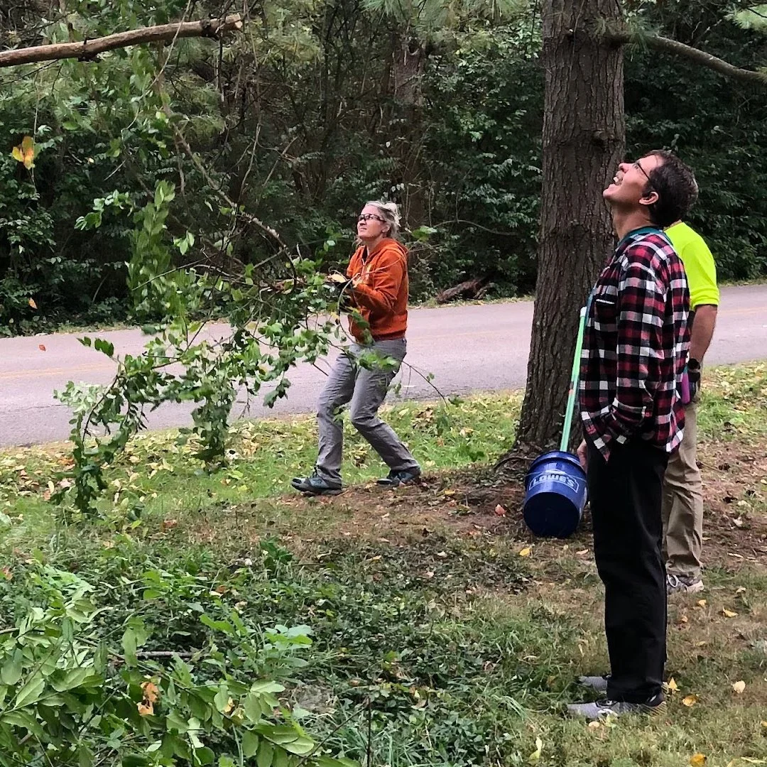 Classes + Workshops — Deeply Rooted Landscapes