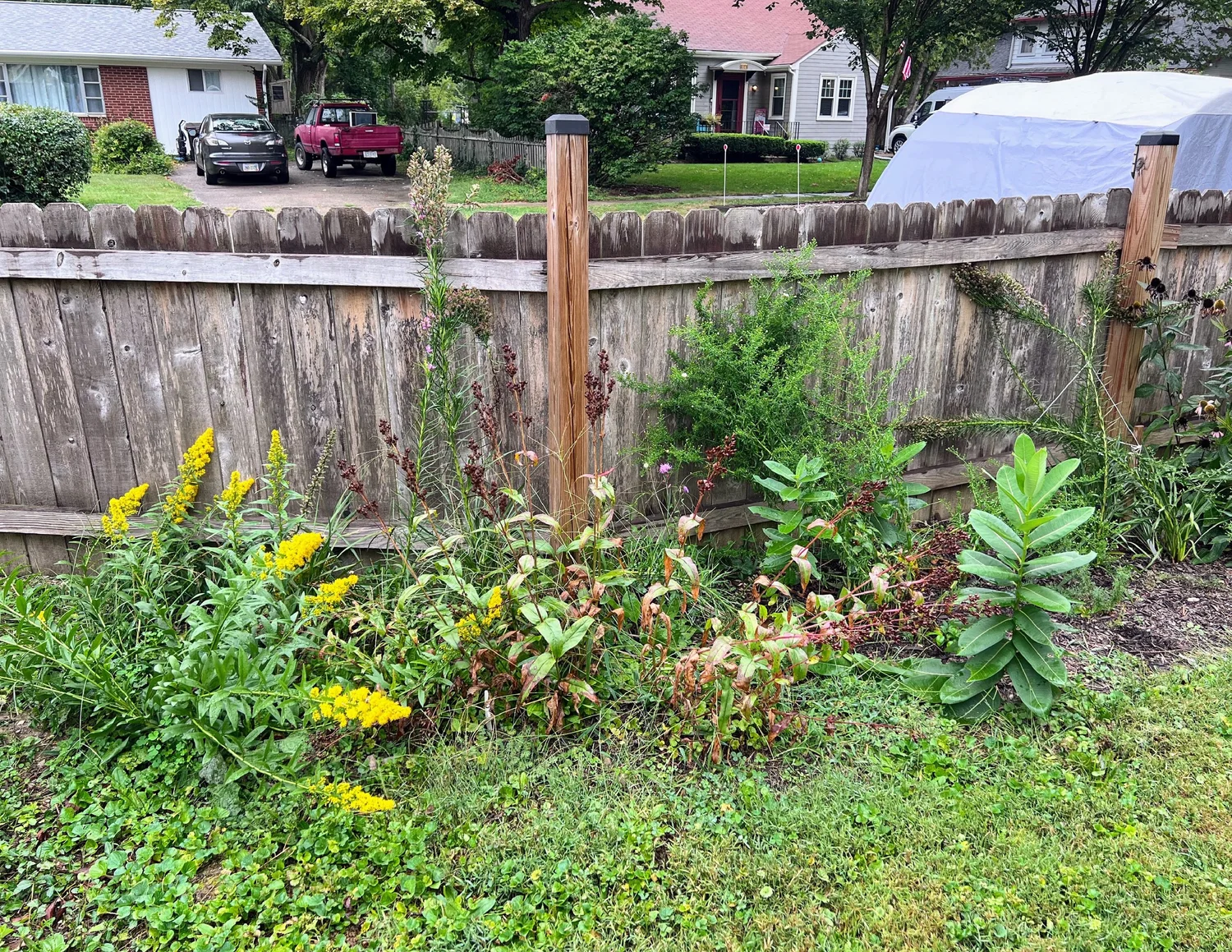 Pollinator Garden — Deeply Rooted Landscapes