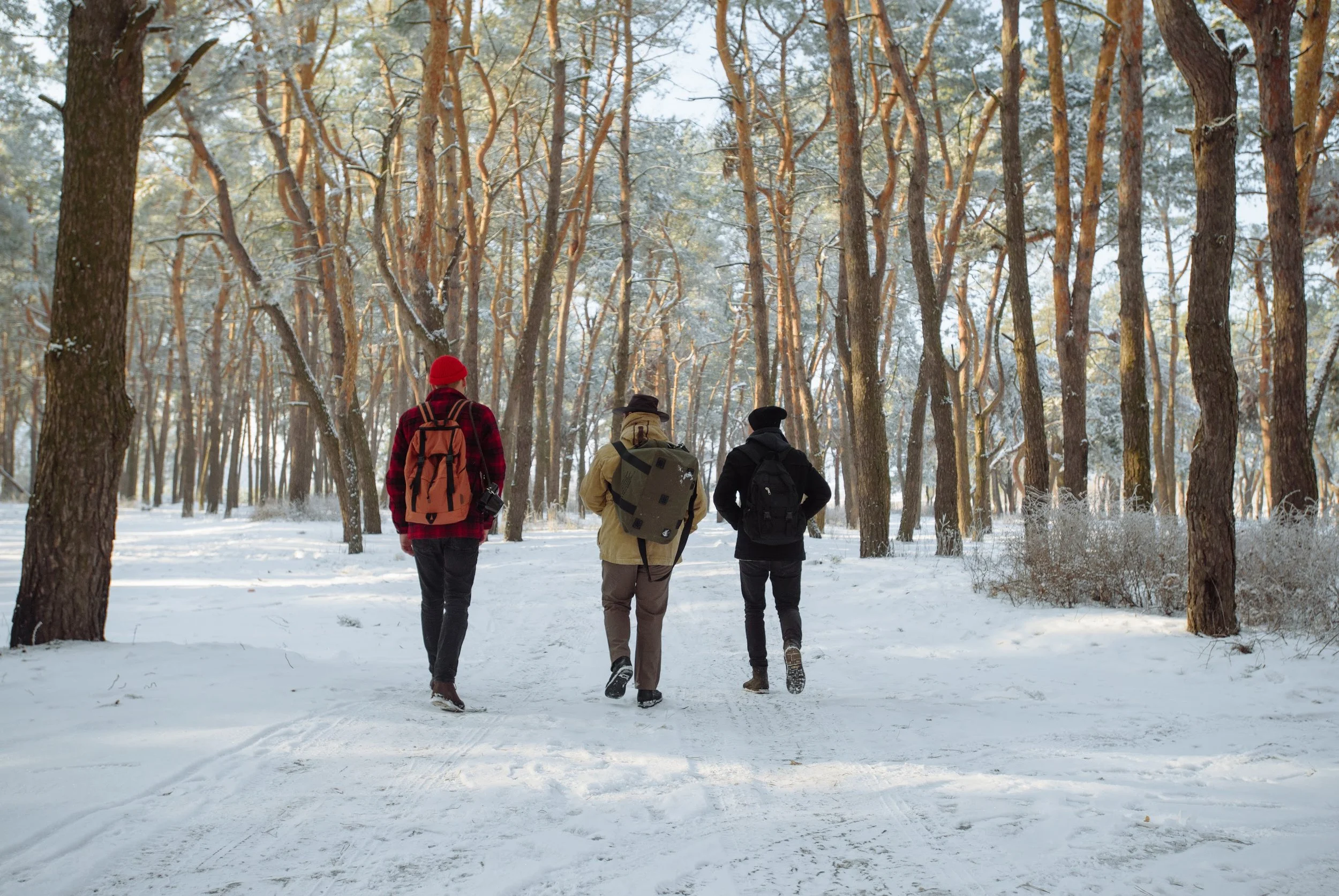 Classes + Workshops — Deeply Rooted Landscapes