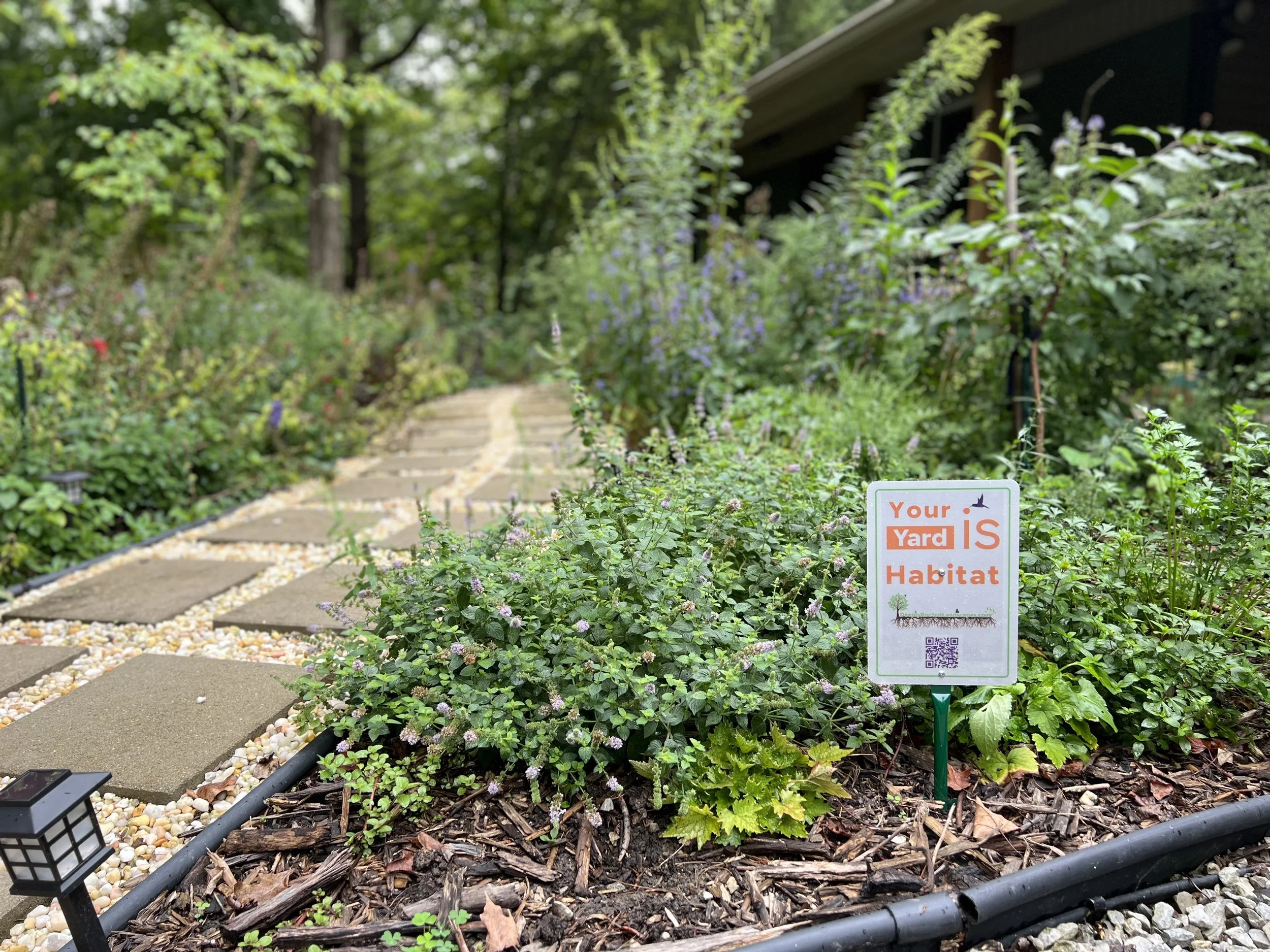 Deeply Rooted Landscapes