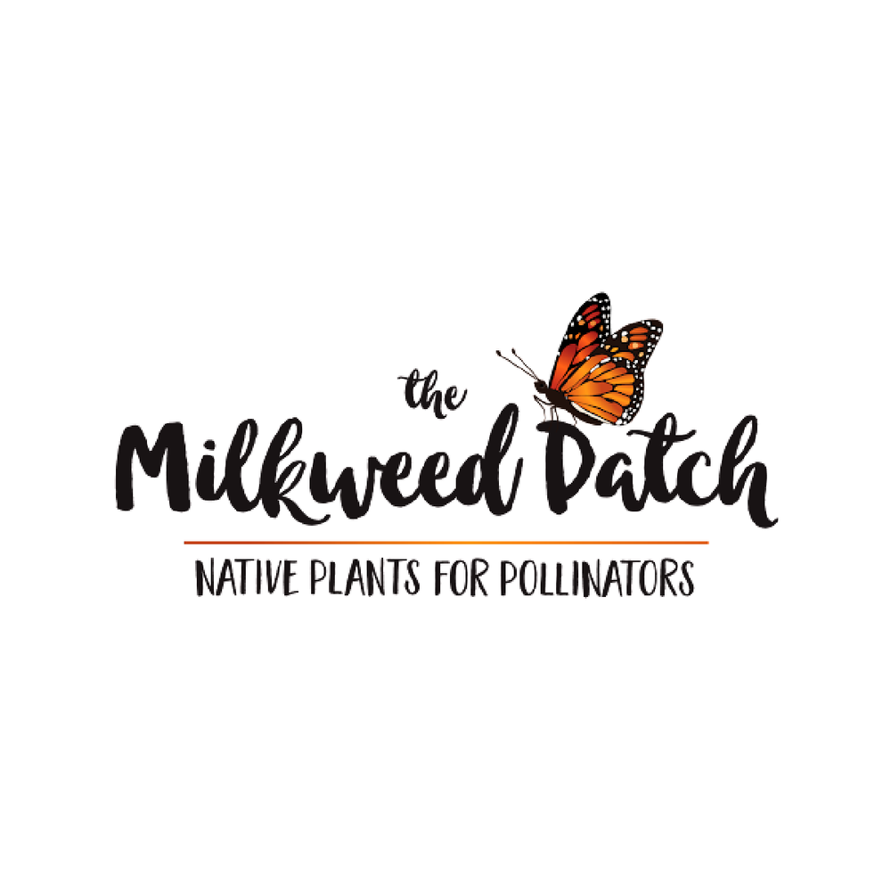 Native Plant Directory — Deeply Rooted Landscapes