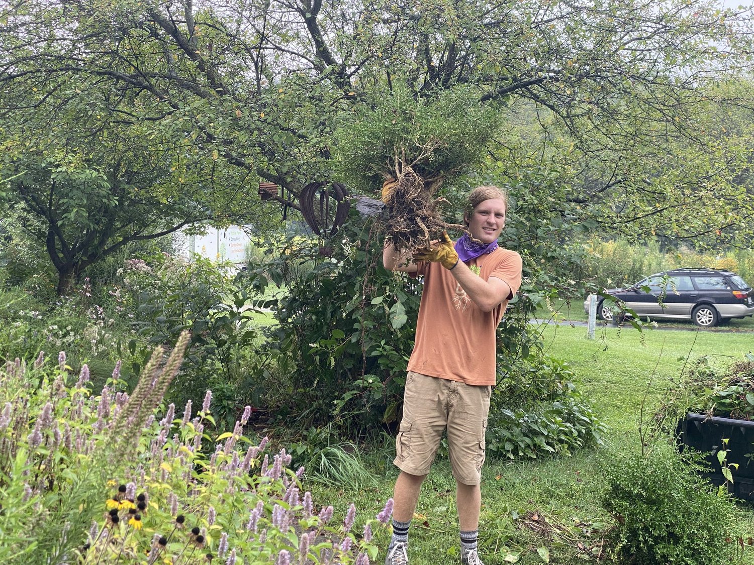 Deeply Rooted Landscapes