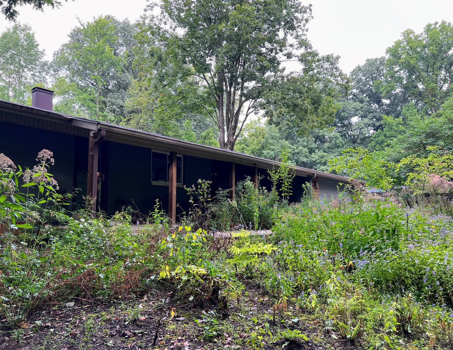 Shade Garden — Deeply Rooted Landscapes