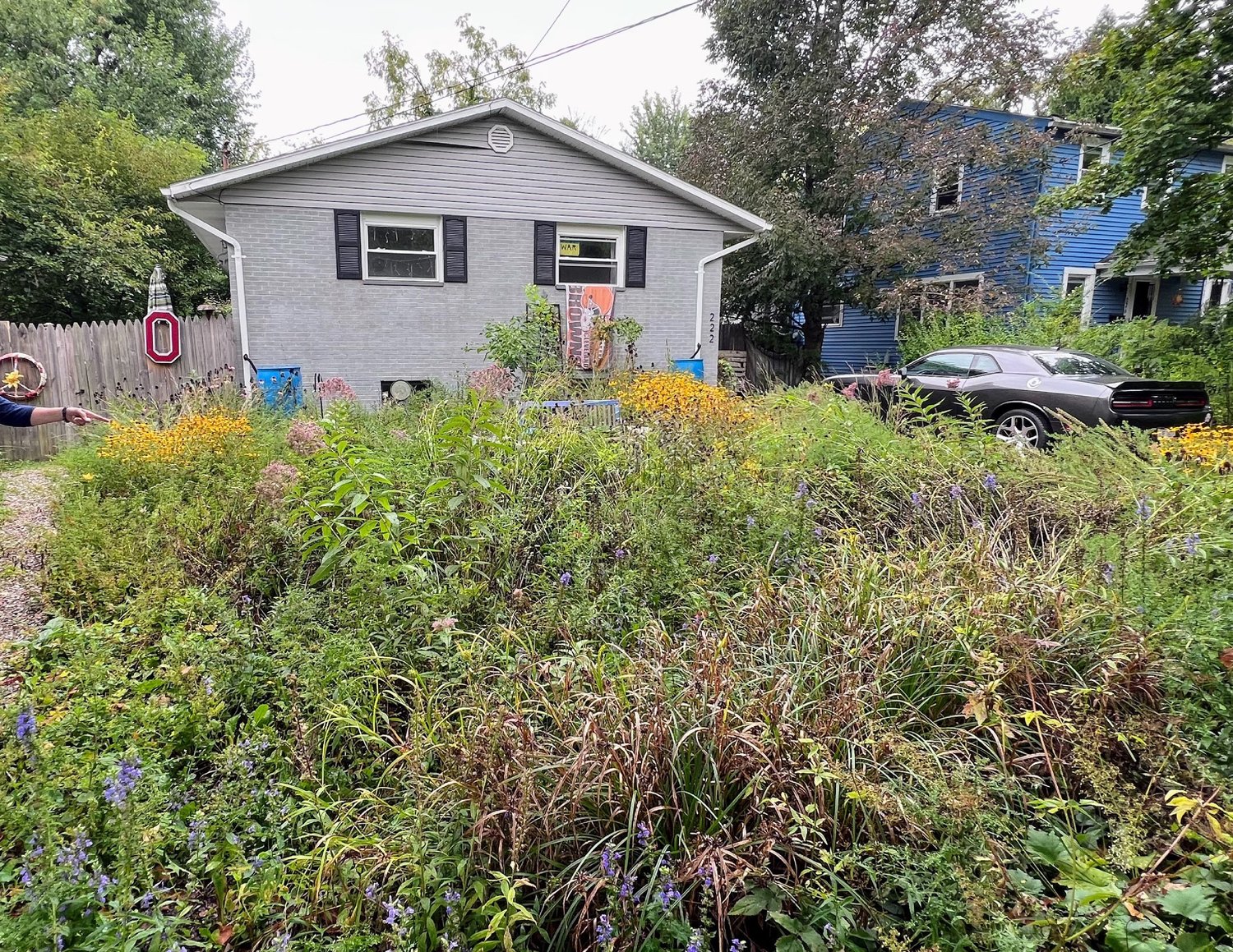 Meadow Garden — Deeply Rooted Landscapes