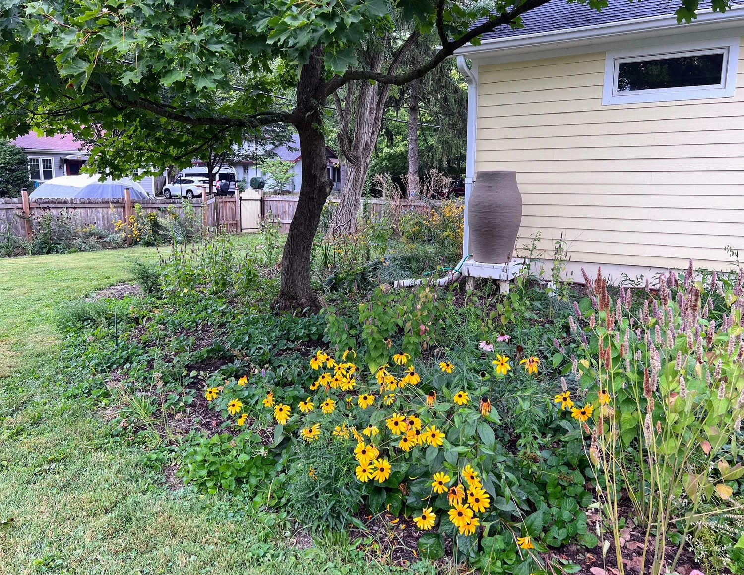 Pollinator Garden — Deeply Rooted Landscapes