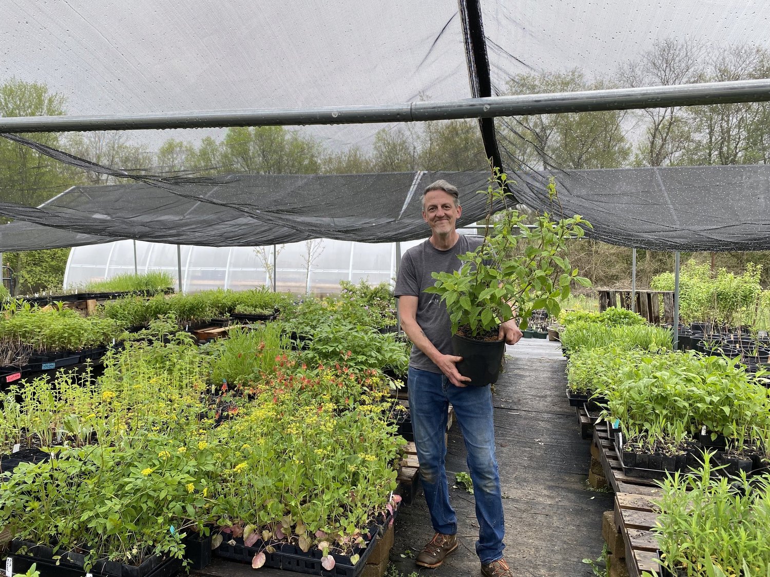 Deeply Rooted Landscapes