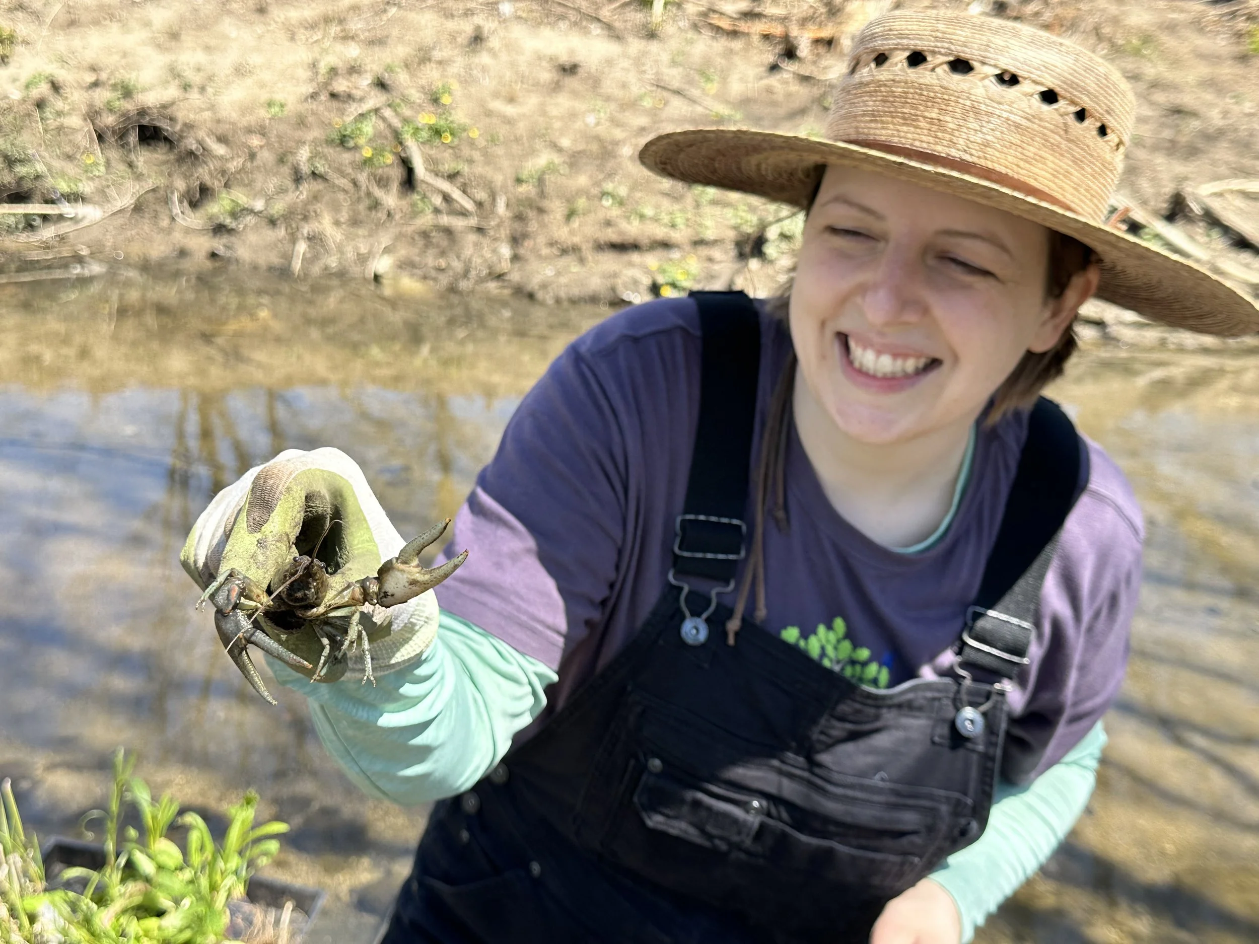Deeply Rooted Landscapes