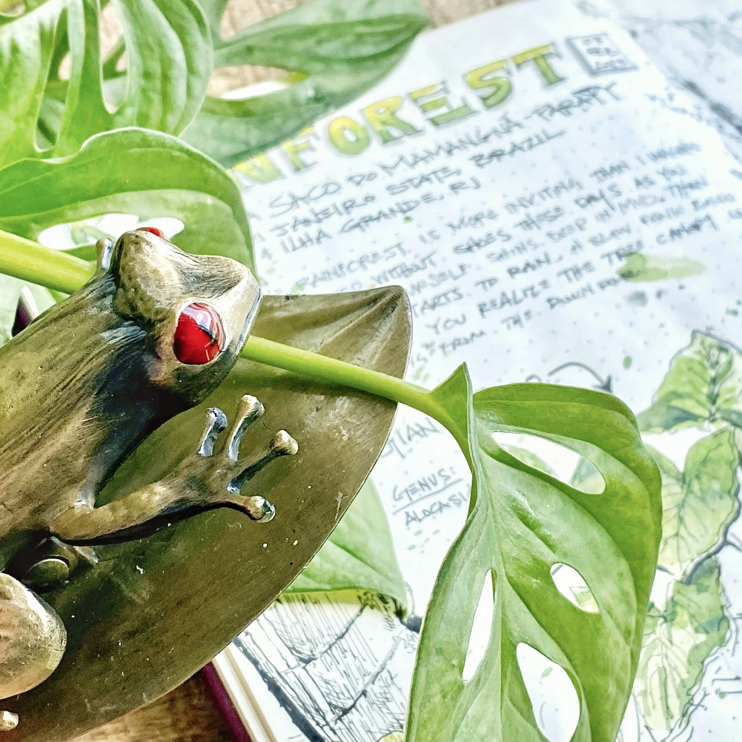 Tree Frog Page Clip - Esterbrook — Libraries and Archives Paper Company
