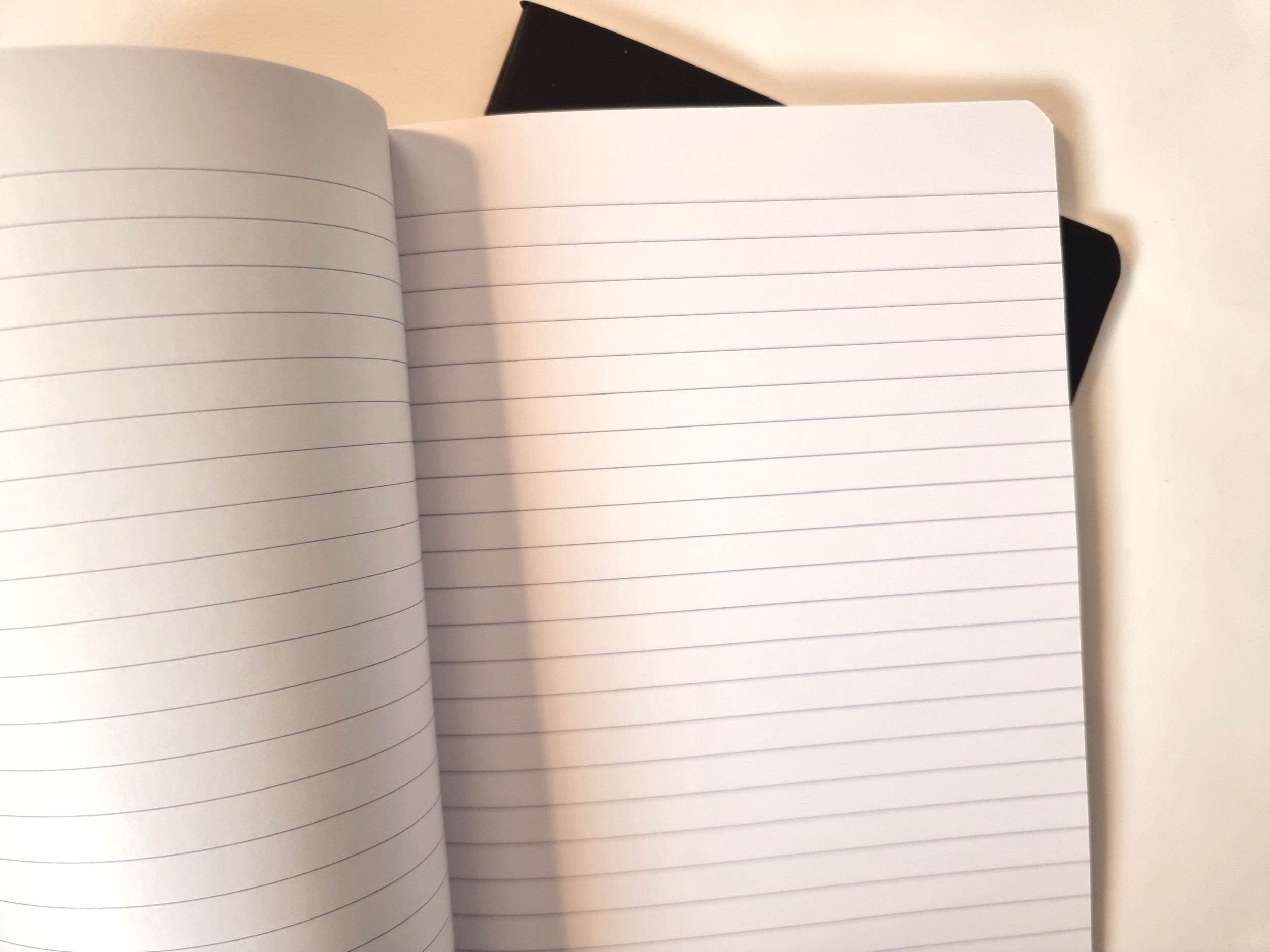 Hightide Puggy's Paperback Notebook - Blue Print — Libraries and ...