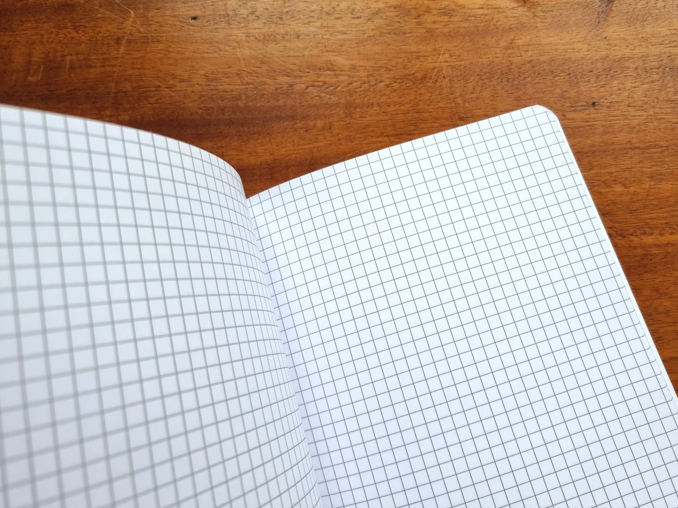 Hightide Puggy's Paperback Notebook - Blue Print — Libraries and ...