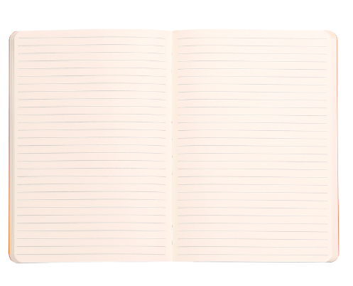 Hightide Puggy's Paperback Notebook - Blue Print — Libraries and ...